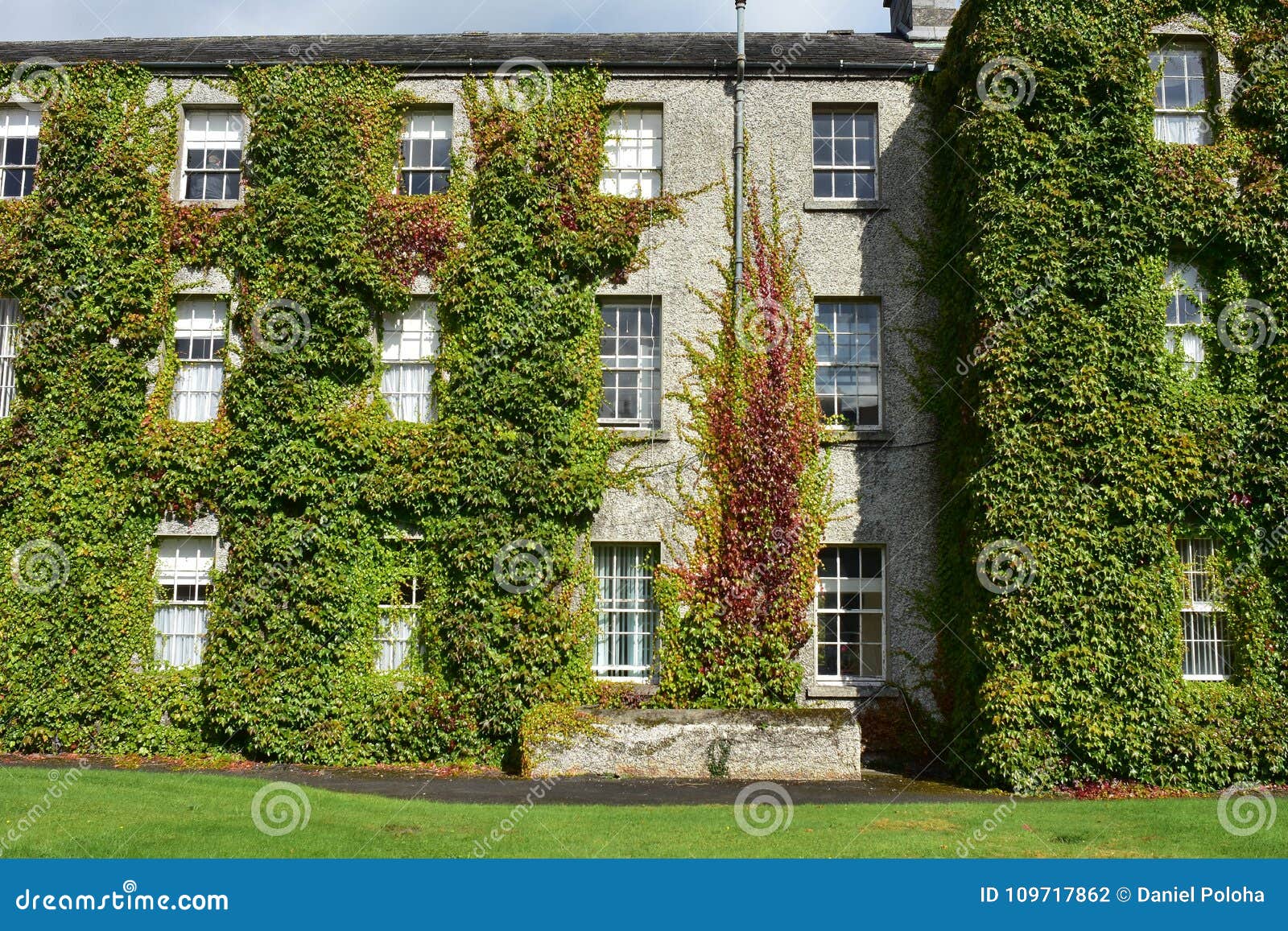 Partially Vines-covered Exterior Wall Stock Photo - Image of greenery ...