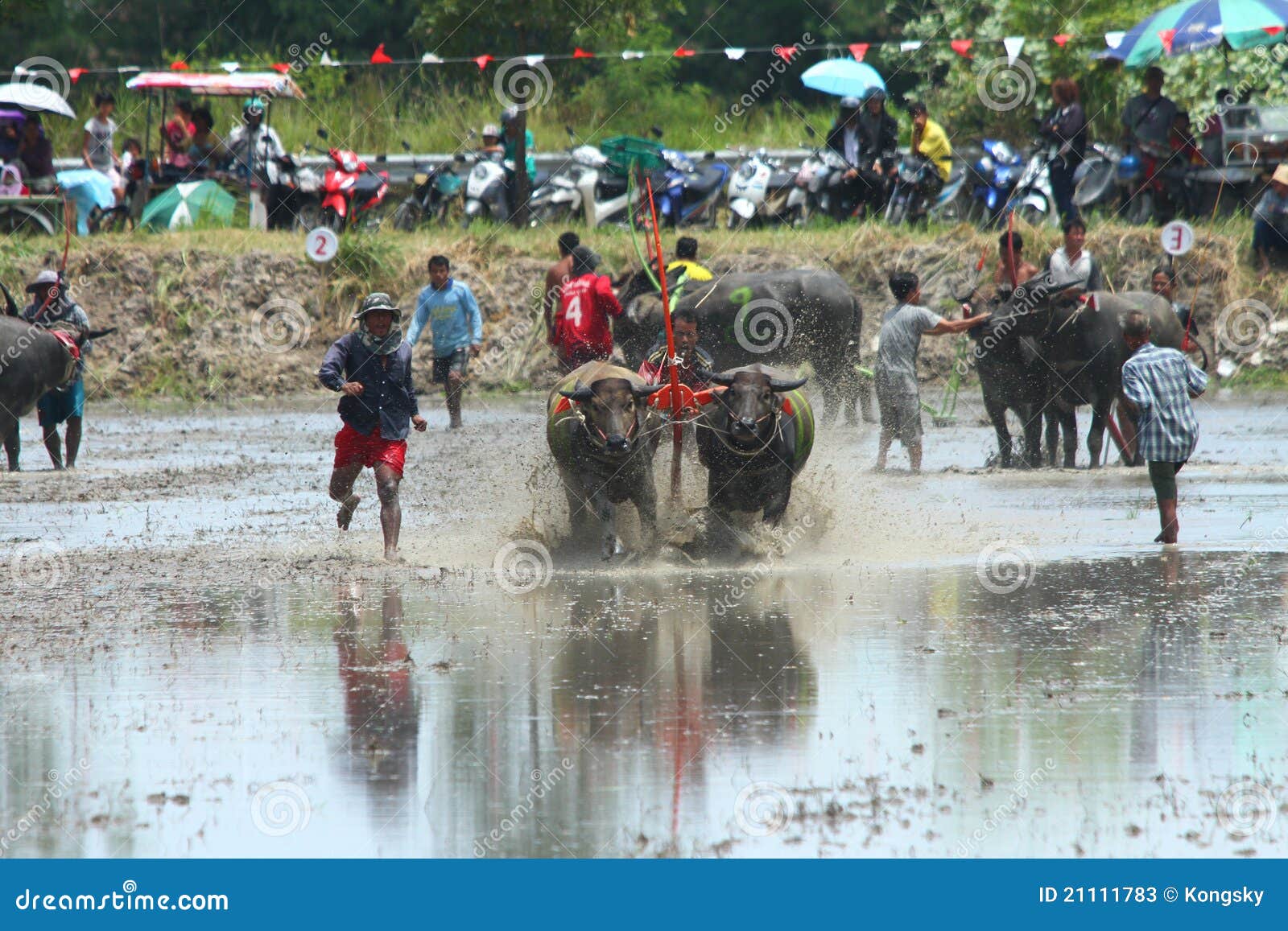 Participante En El Buf Anual Foto de archivo editorial - Imagen de ...