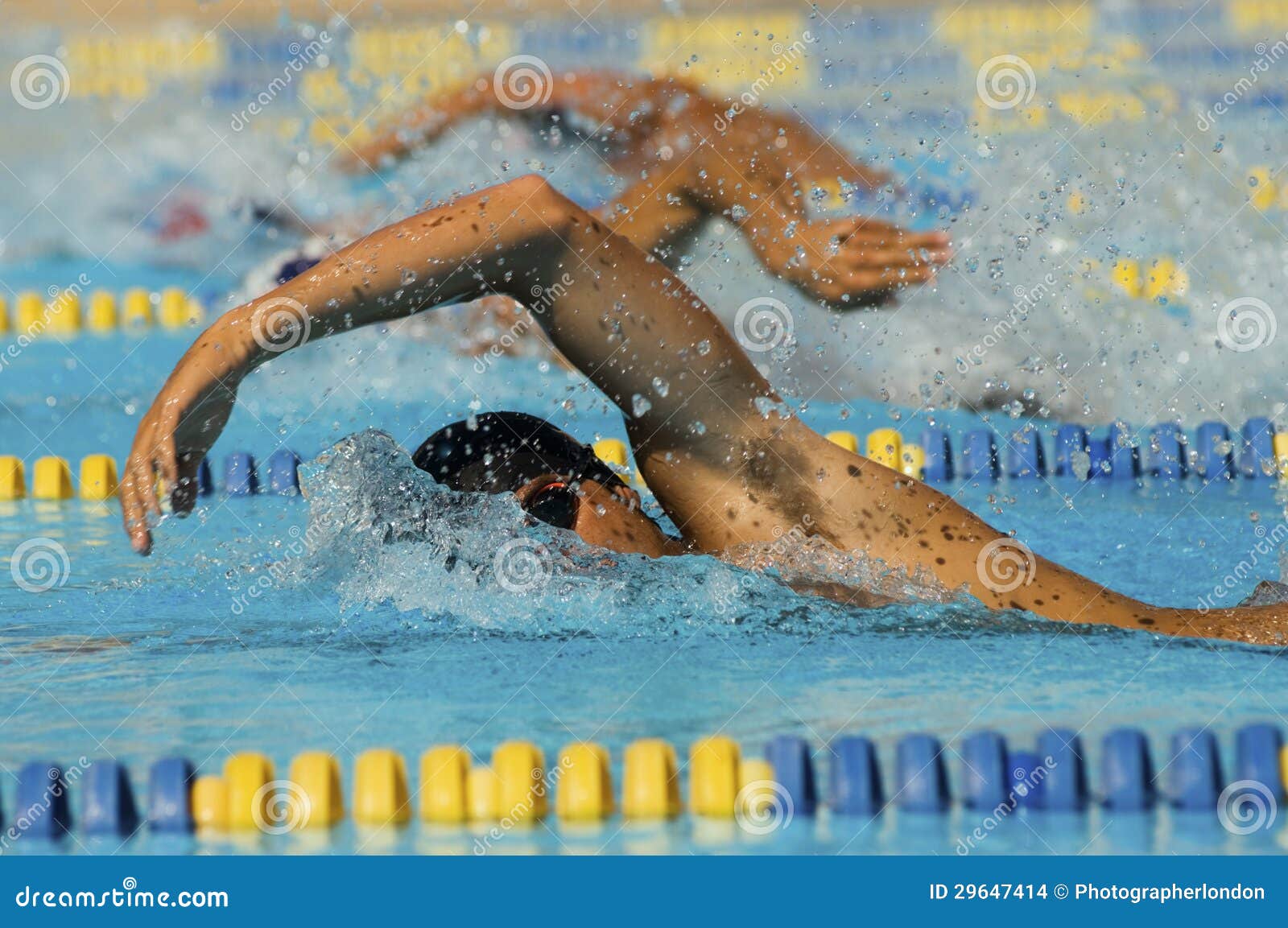 Participants in Swimming Race Stock Photo - Image of marker, pool: 29647414
