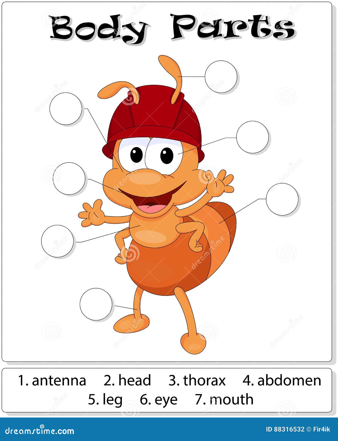 Parties du corps de fourmi illustration de vecteur. Illustration du ...