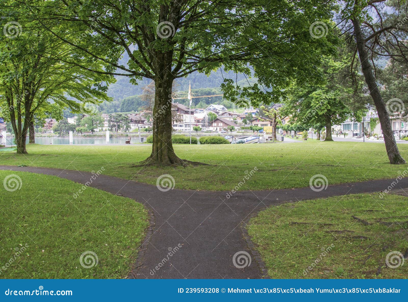 Parting of the Ways in the Middle of Nature, Green Field and Trees ...