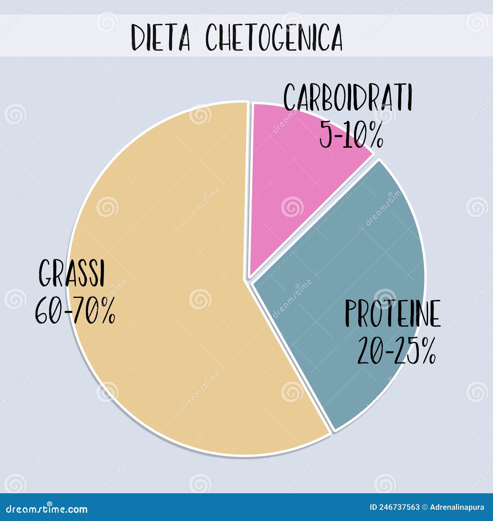 Partition Chart for Ketogenic Diet Stock Illustration - Illustration of ...