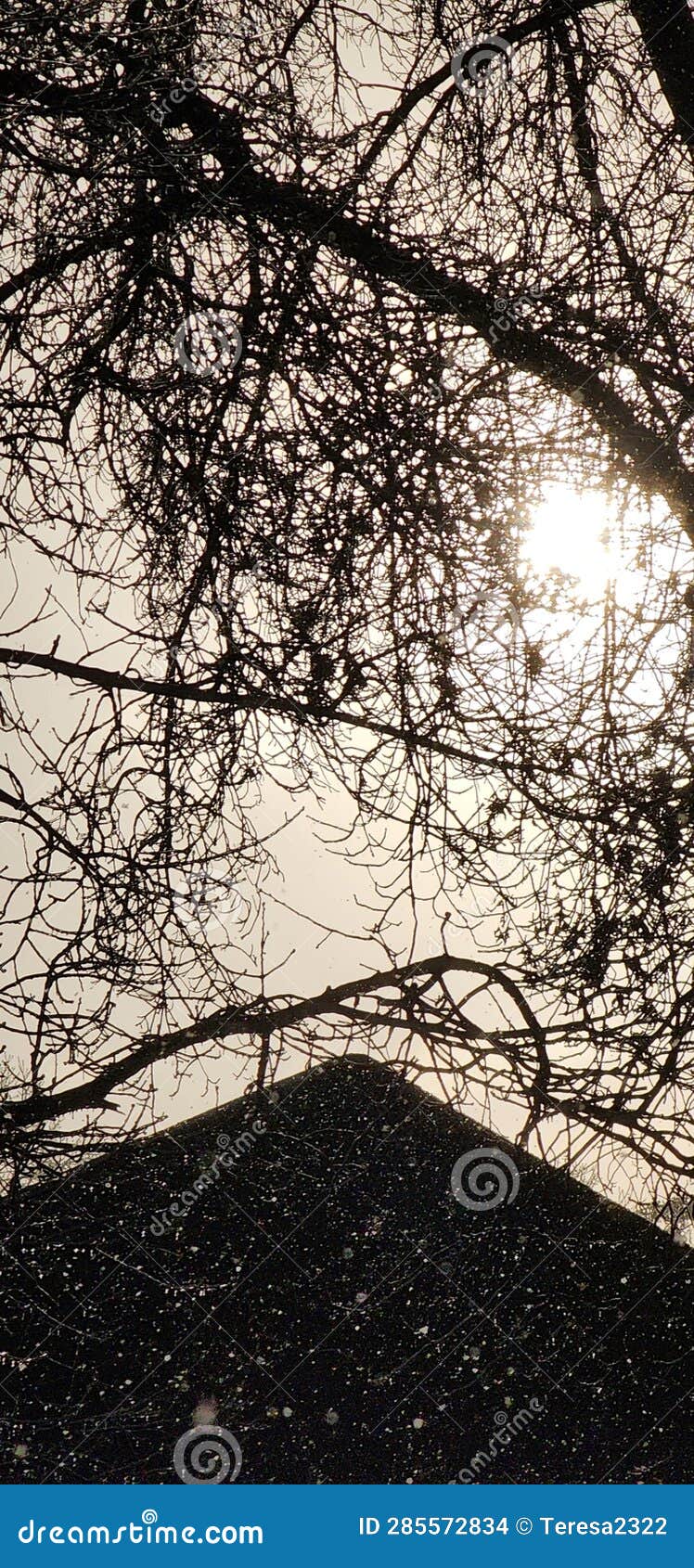 Partly Cloudy Snowy Cold Day with Sun Stock Photo - Image of partly ...