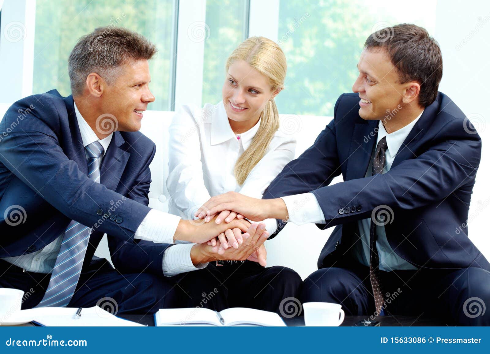Partnership stock photo. Image of female, partner, cooperation - 15633086