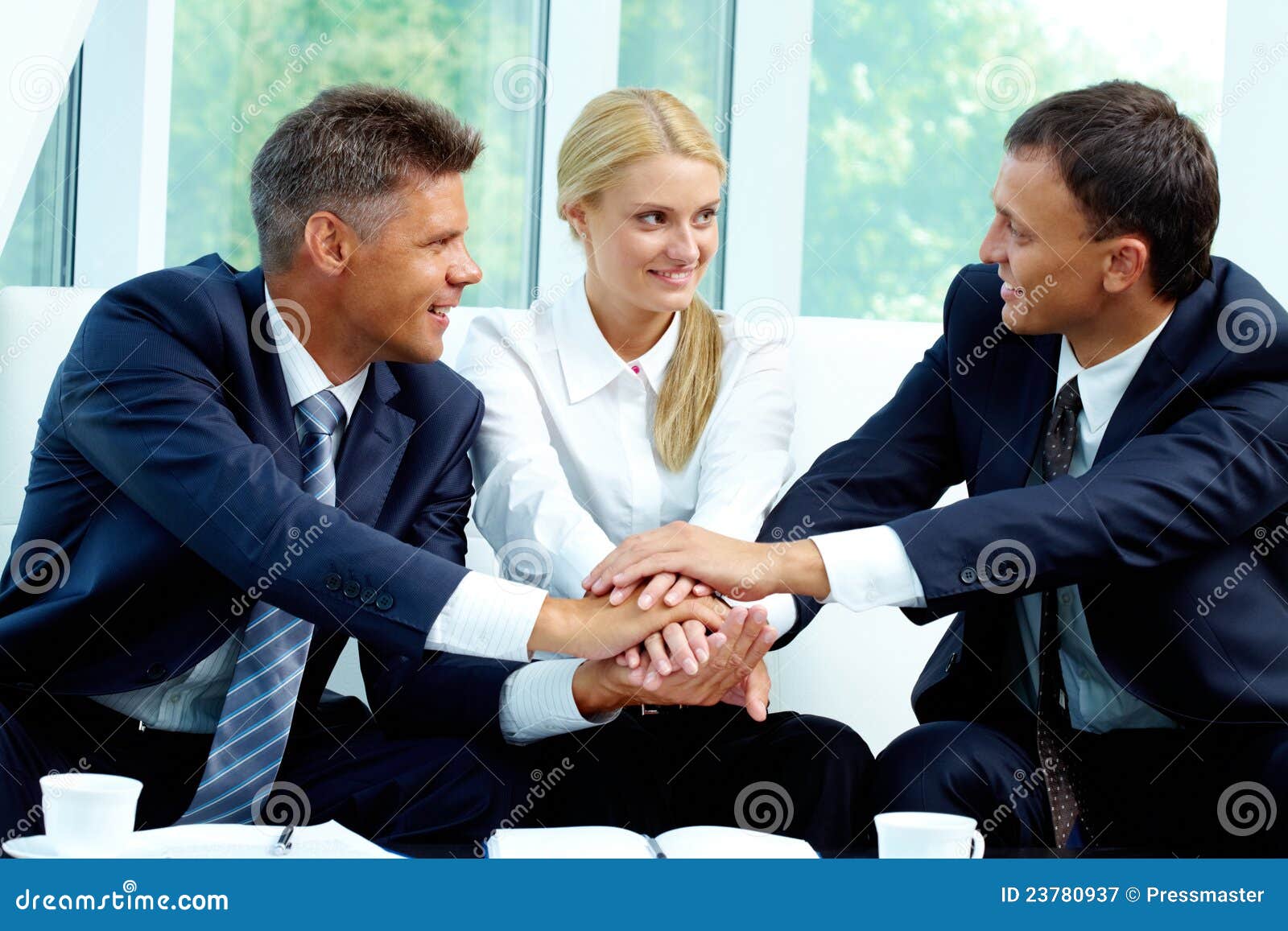 Partnership stock image. Image of businesswoman, people - 23780937