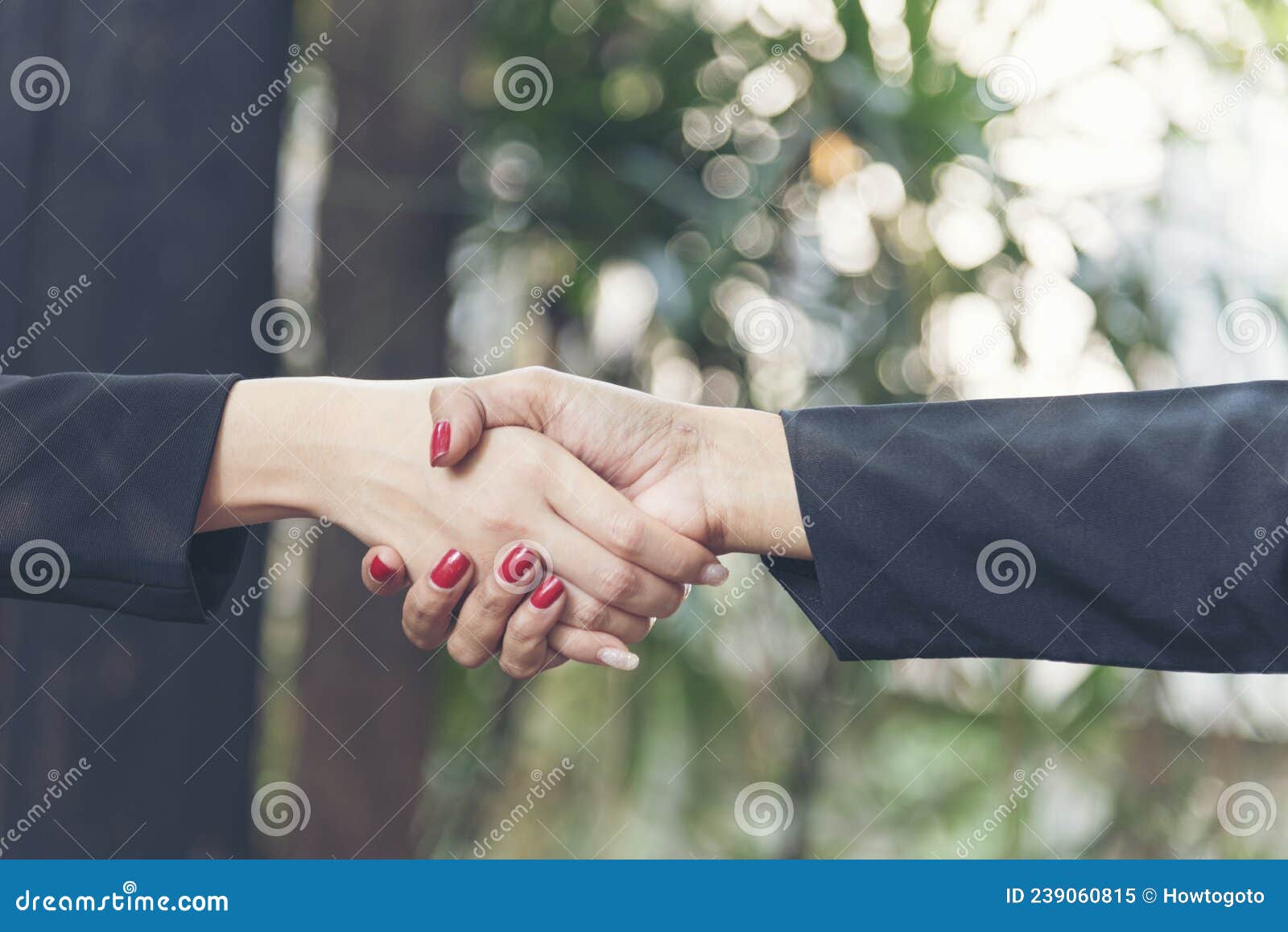Partnership Concept Hand Shake Business Partners Teamwork.Trust ...