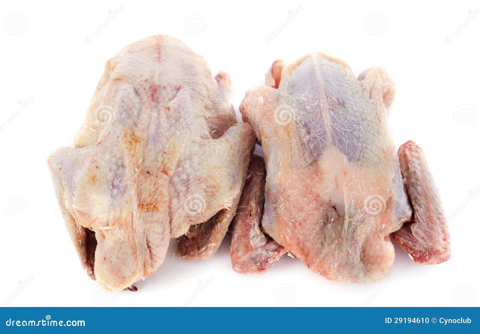 Partridge meat stock photo. Image of pigeon, game, isolated - 29194610