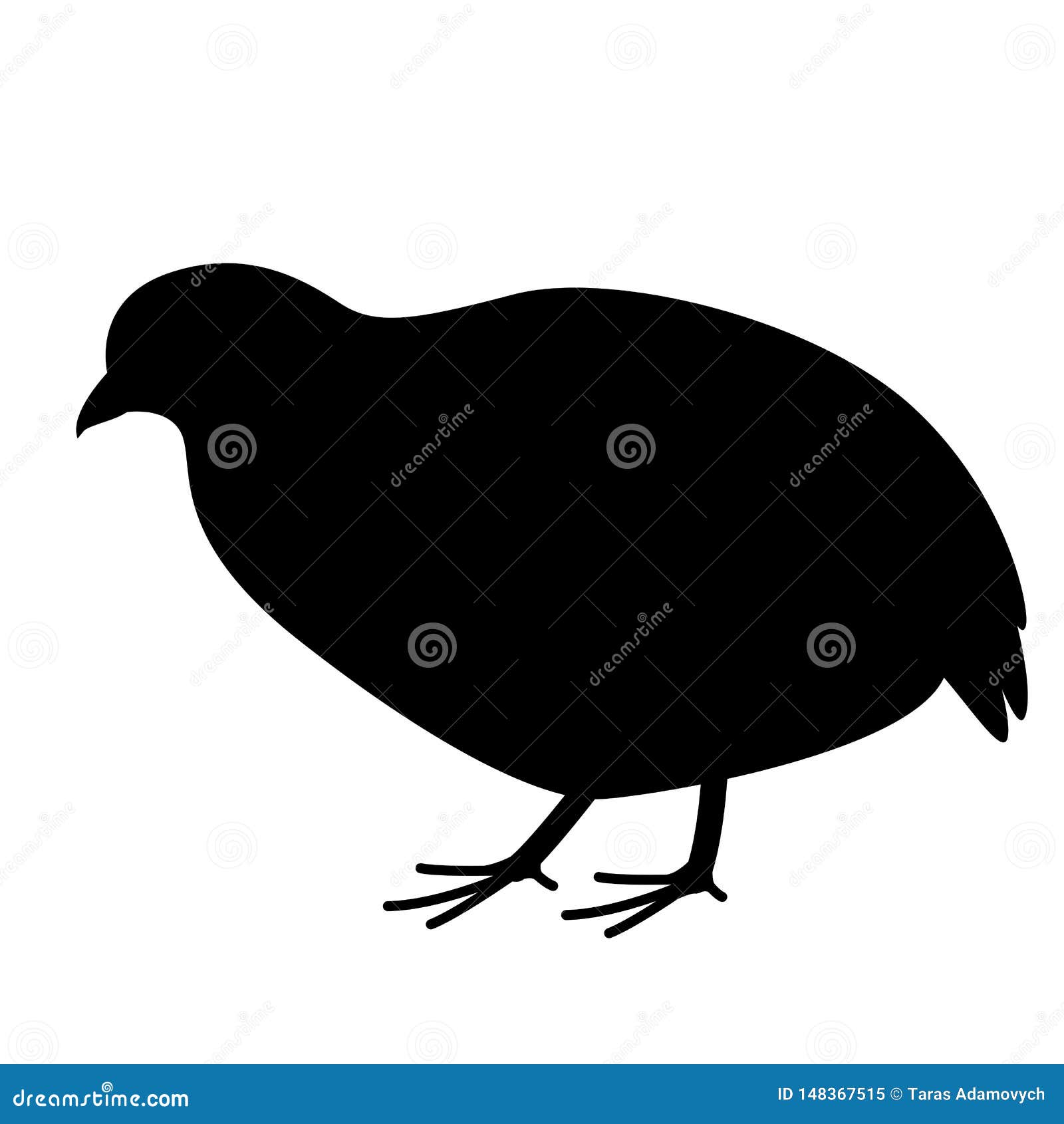 Partridge, Vector Illustration, Black Silhouette ,profile Stock Vector ...