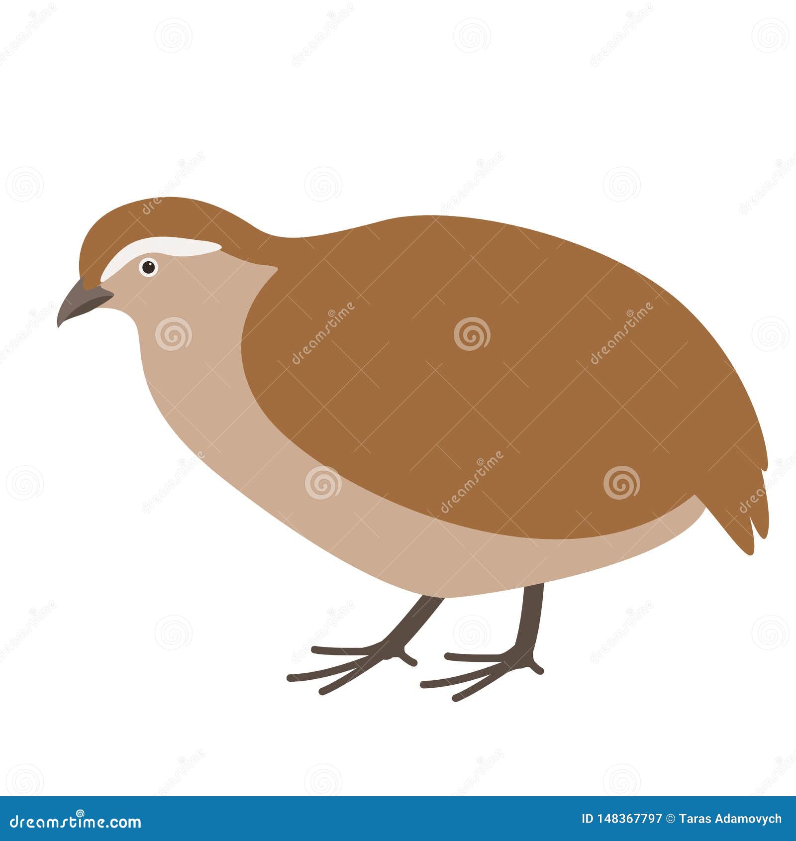Partridge, Vector Illustration, Black Silhouette ,profile ...