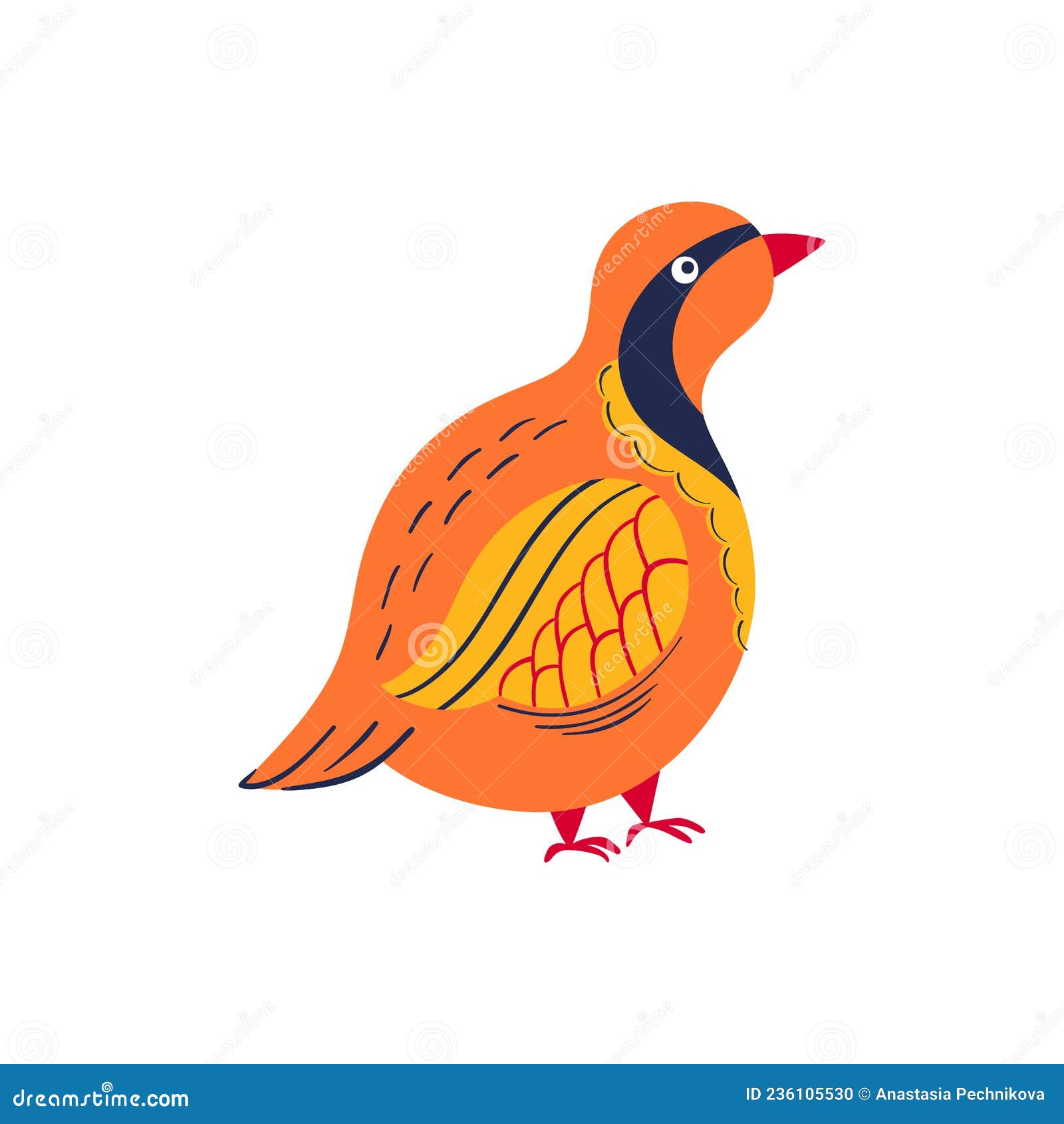 Partridge, Vector Illustration, Black Silhouette ,profile ...