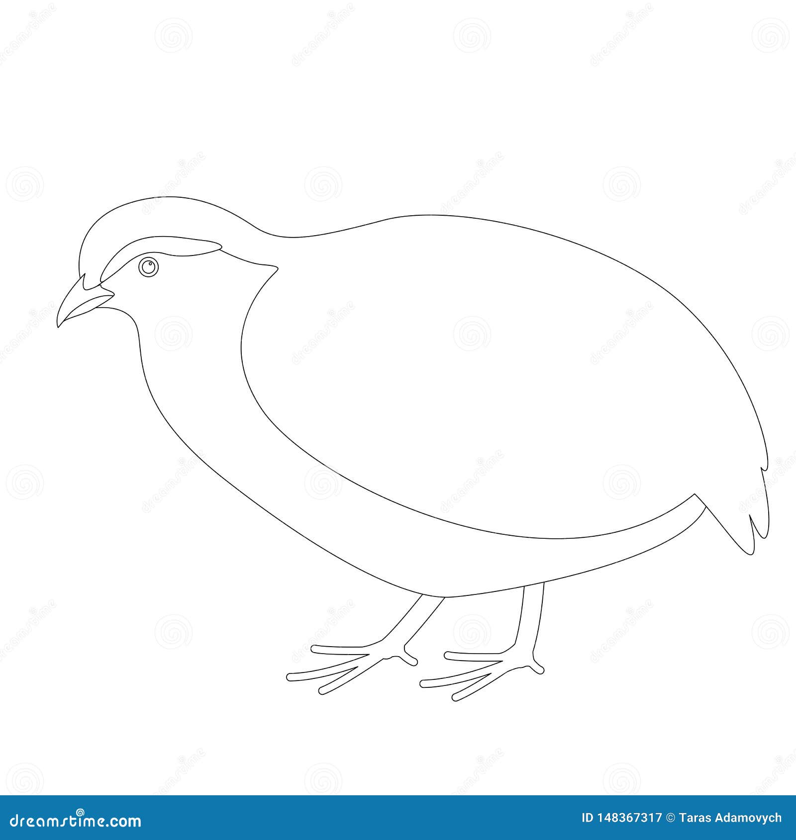 Partridge, Vector Illustration, Lining Draw ,profile Stock Vector ...