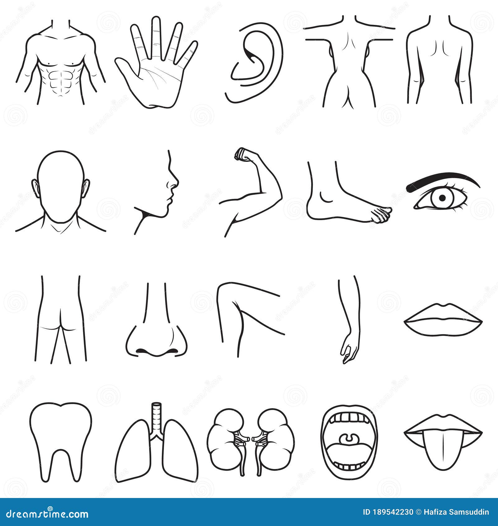 Parts of the Body. Vector Illustration Decorative Design Stock Vector ...