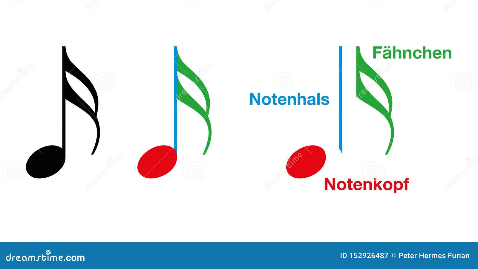 Parts of a Musical Note, German Labeling Stock Vector - Illustration of ...