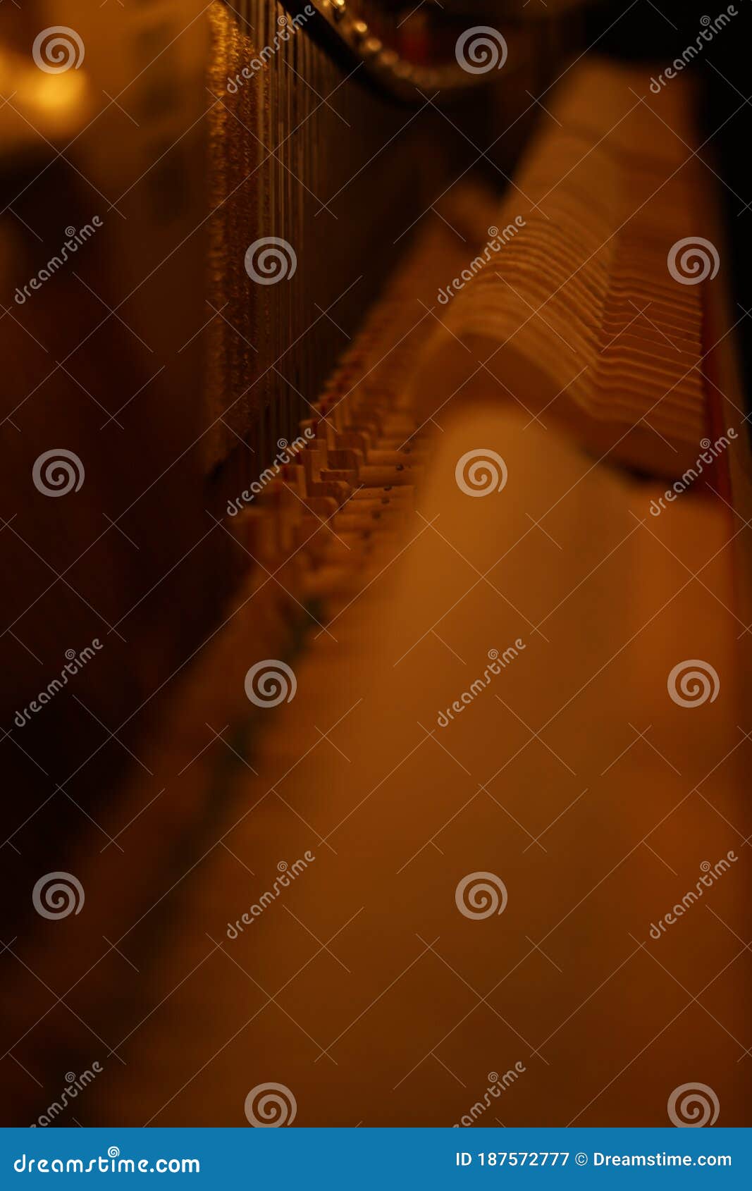Parts of the Piano, Strings and Hammers Inside the Instrument Stock ...