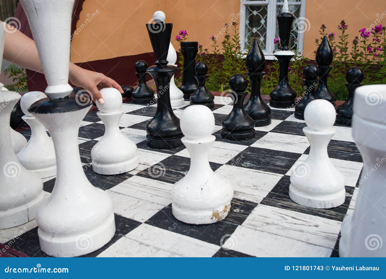 Party in Chess on a Summer Day Stock Image - Image of king, lawn: 121801743