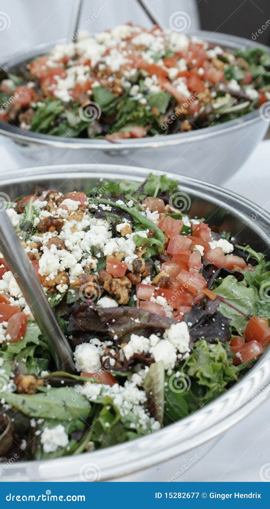 Party dish stock image. Image of catering, server, cheese - 15282677