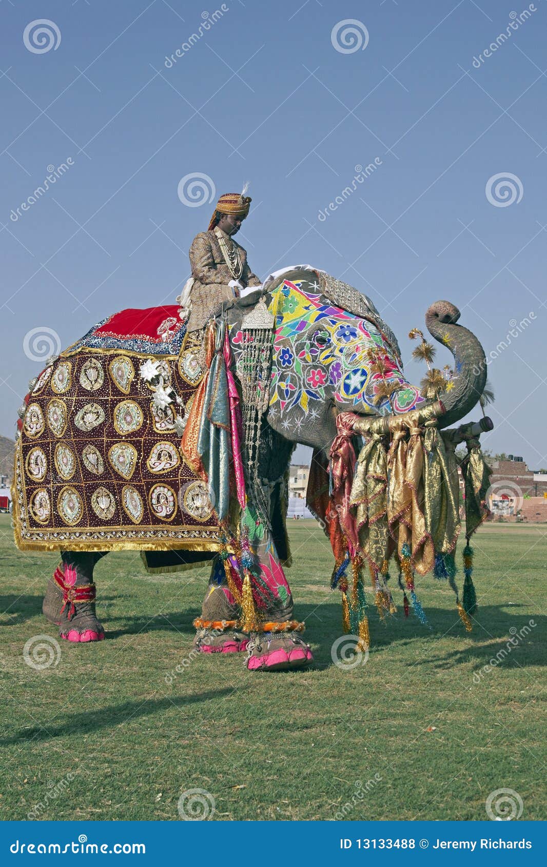 Party Elephant editorial stock photo. Image of asia, ornate - 13133488