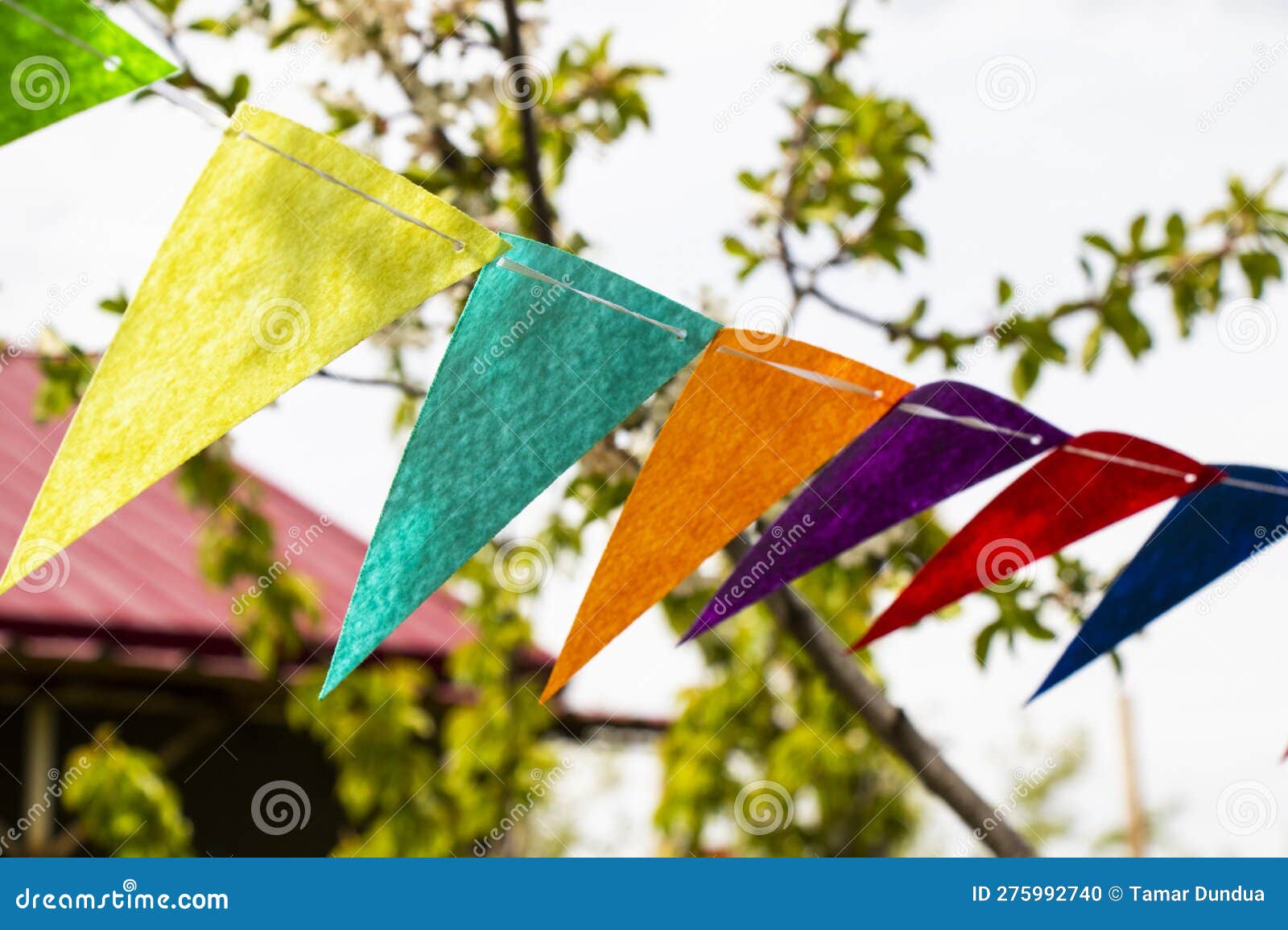 Party flags in yard stock photo. Image of banner, decoration - 275992740