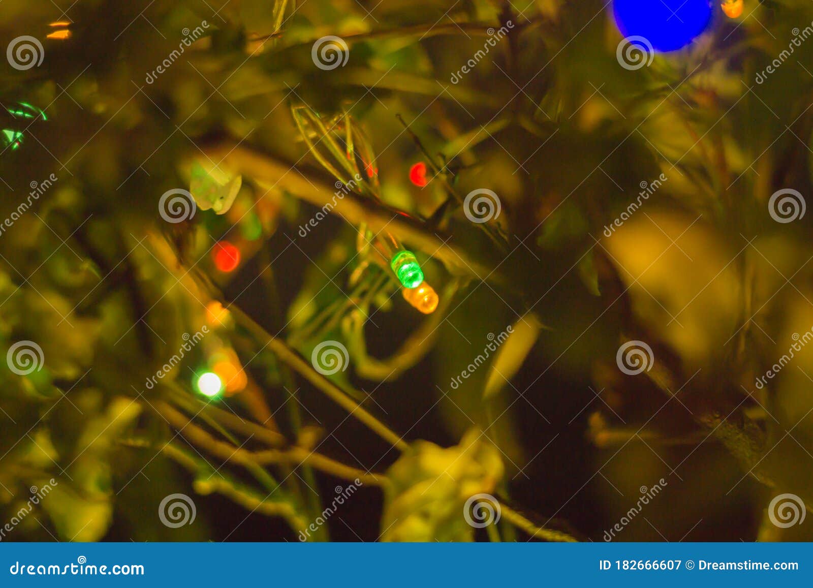 Green, Yellow, Red Small Led L.E.D , Party Lights on a Tree Stock Image ...