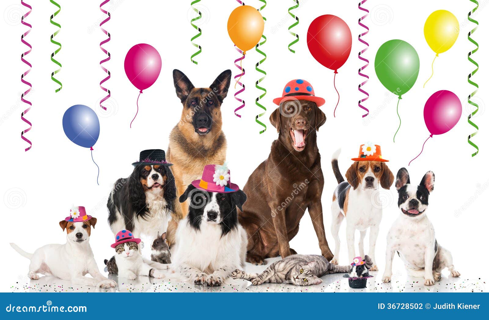 Party Pets Stock Photography - Image: 36728502