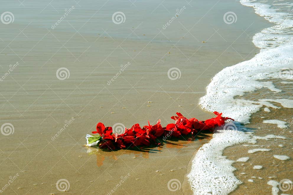 The Party s Over stock image. Image of foamy, string, tropical - 1350471