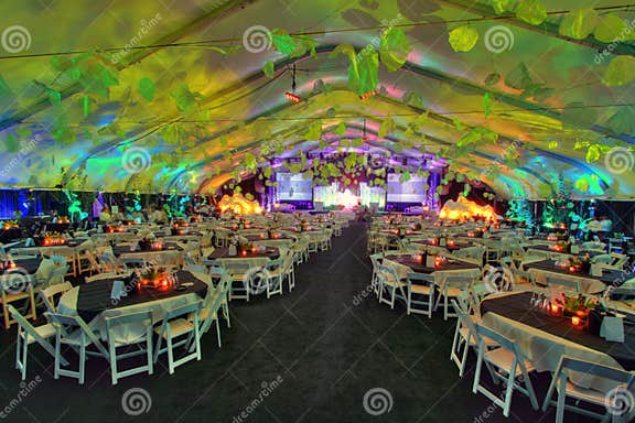 Party Set for Large Group stock photo. Image of audience - 3056692