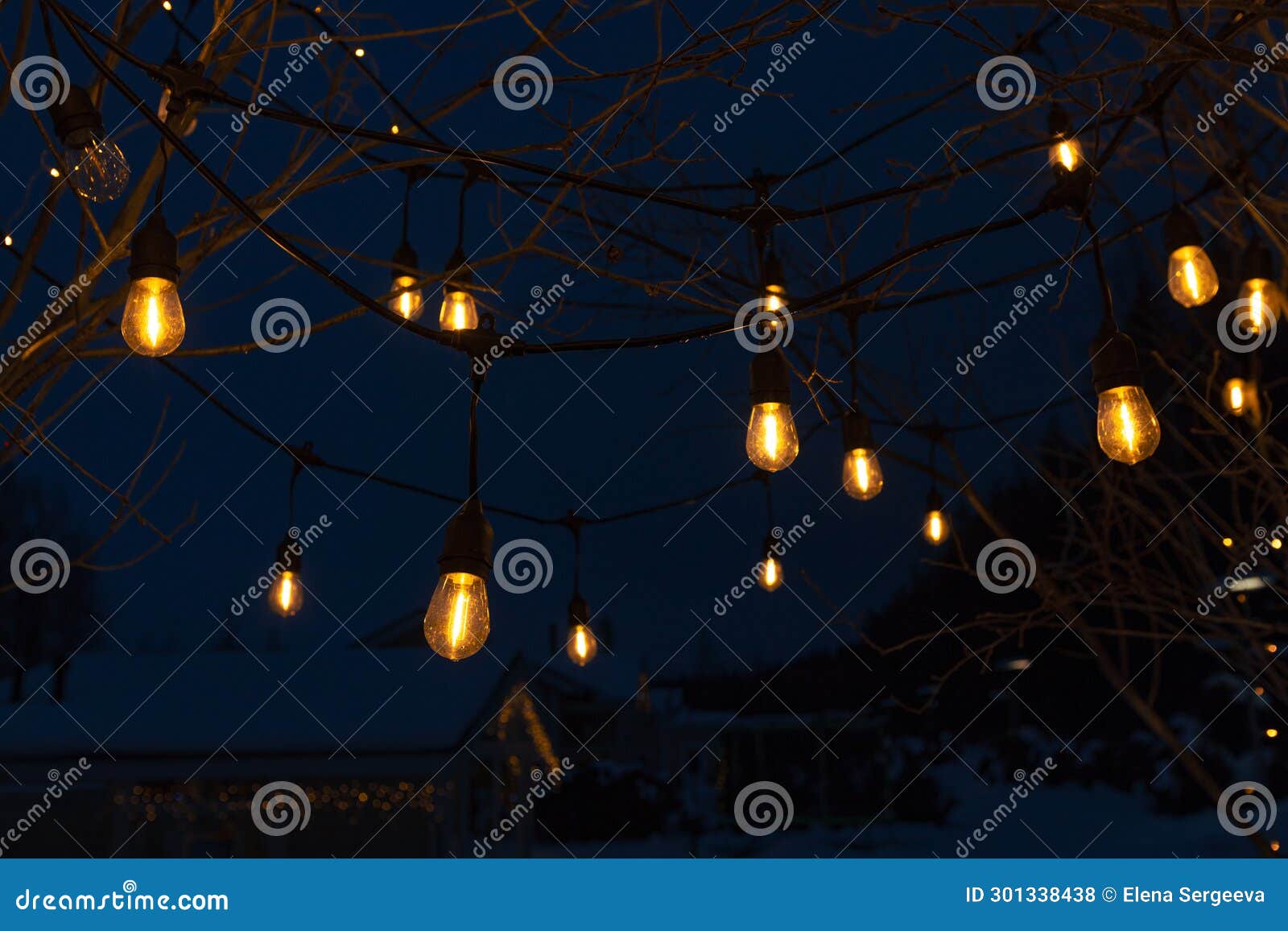 Party String Lights Hanging on Tree Branches, Tree Outside Lit Up with ...