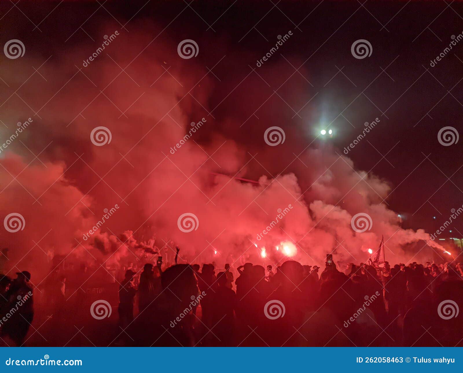 Party stock image. Image of party, campfire, fireworks - 262058463