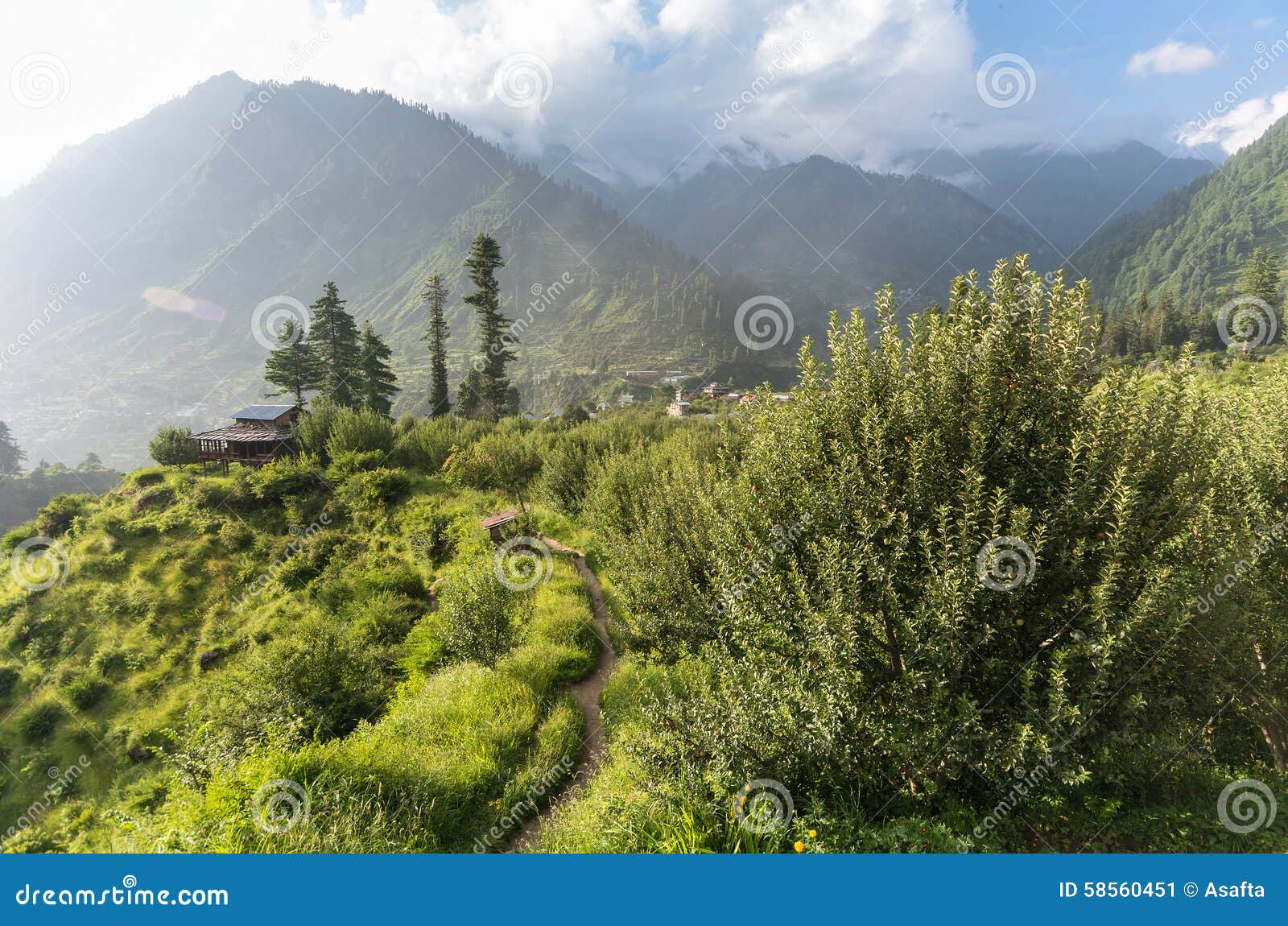 Parvati Valley Scenery - India Stock Image - Image of evening, mountain ...