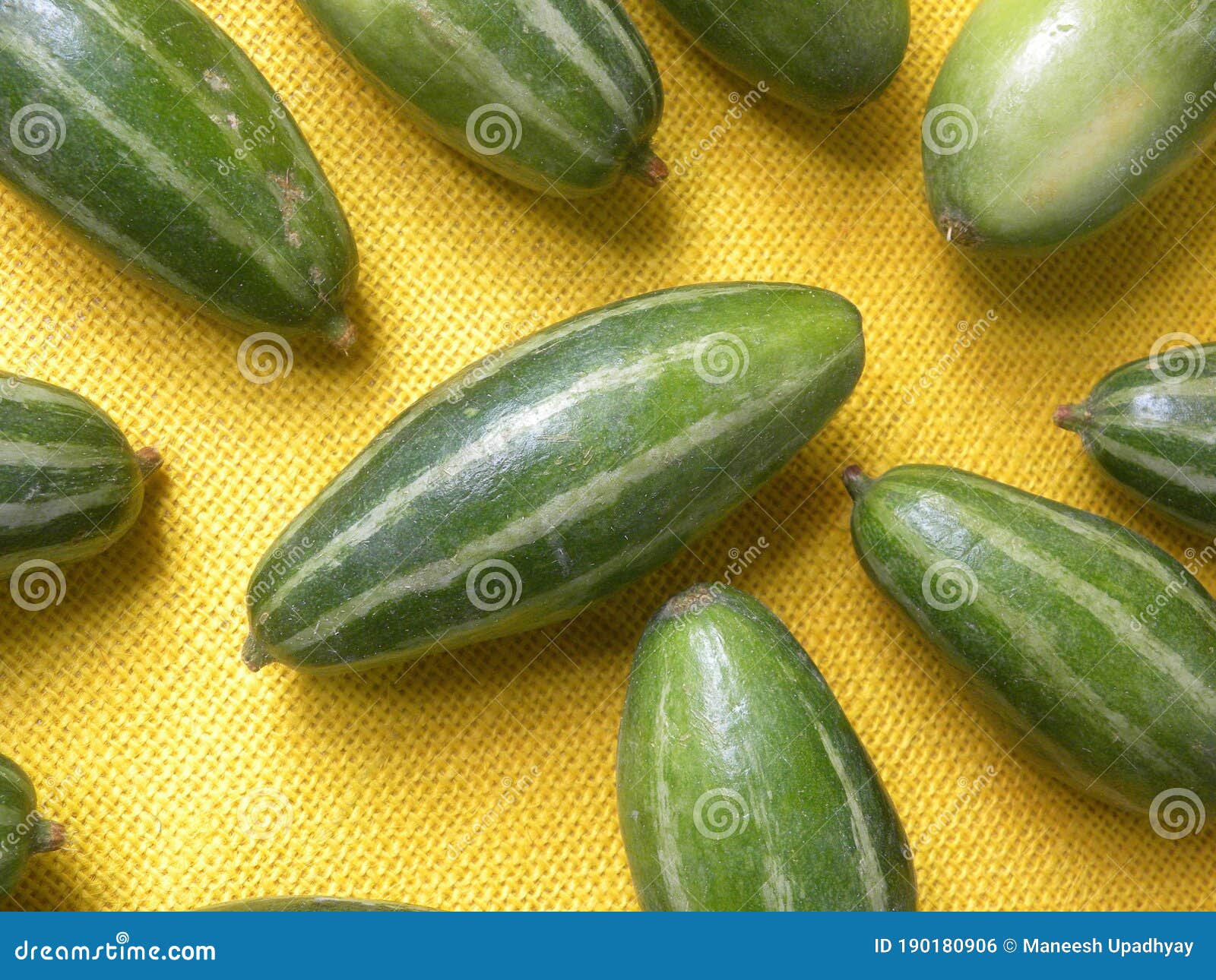 Parwal stock photo. Image of india, food, color, healthy - 190180906