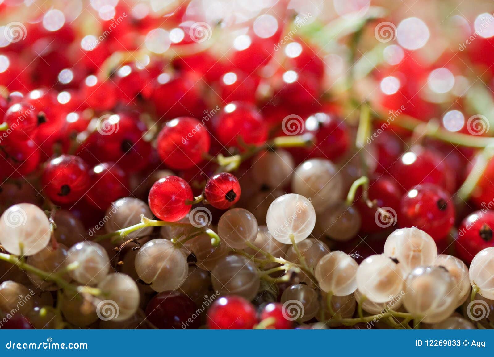 Pasa imagen de archivo. Imagen de sabroso, baya, fruta - 12269033