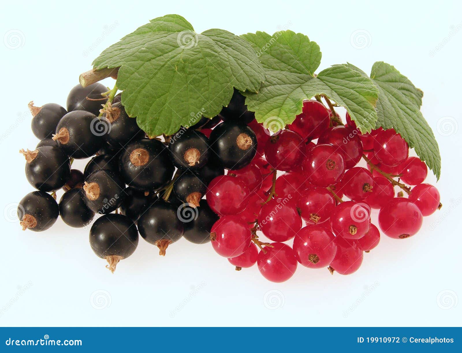 Pasa foto de archivo. Imagen de pasa, arreglo, fruta - 19910972