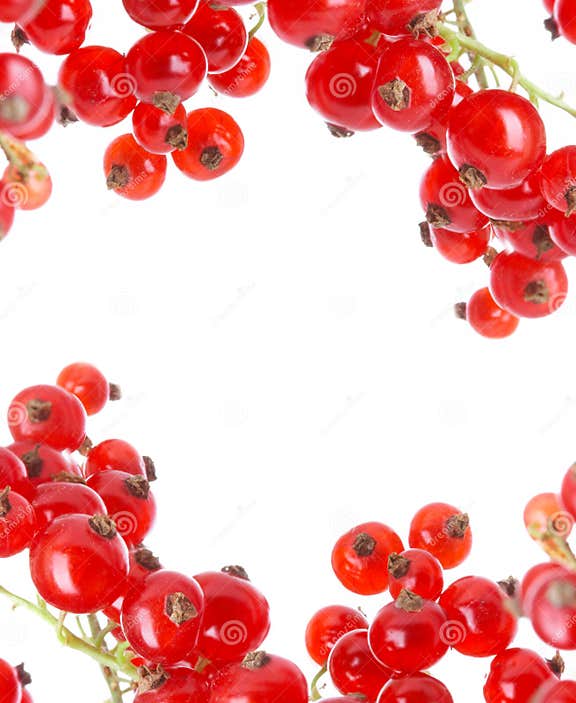 Pasa fresca foto de archivo. Imagen de dieta, bocado, pasa - 2700786