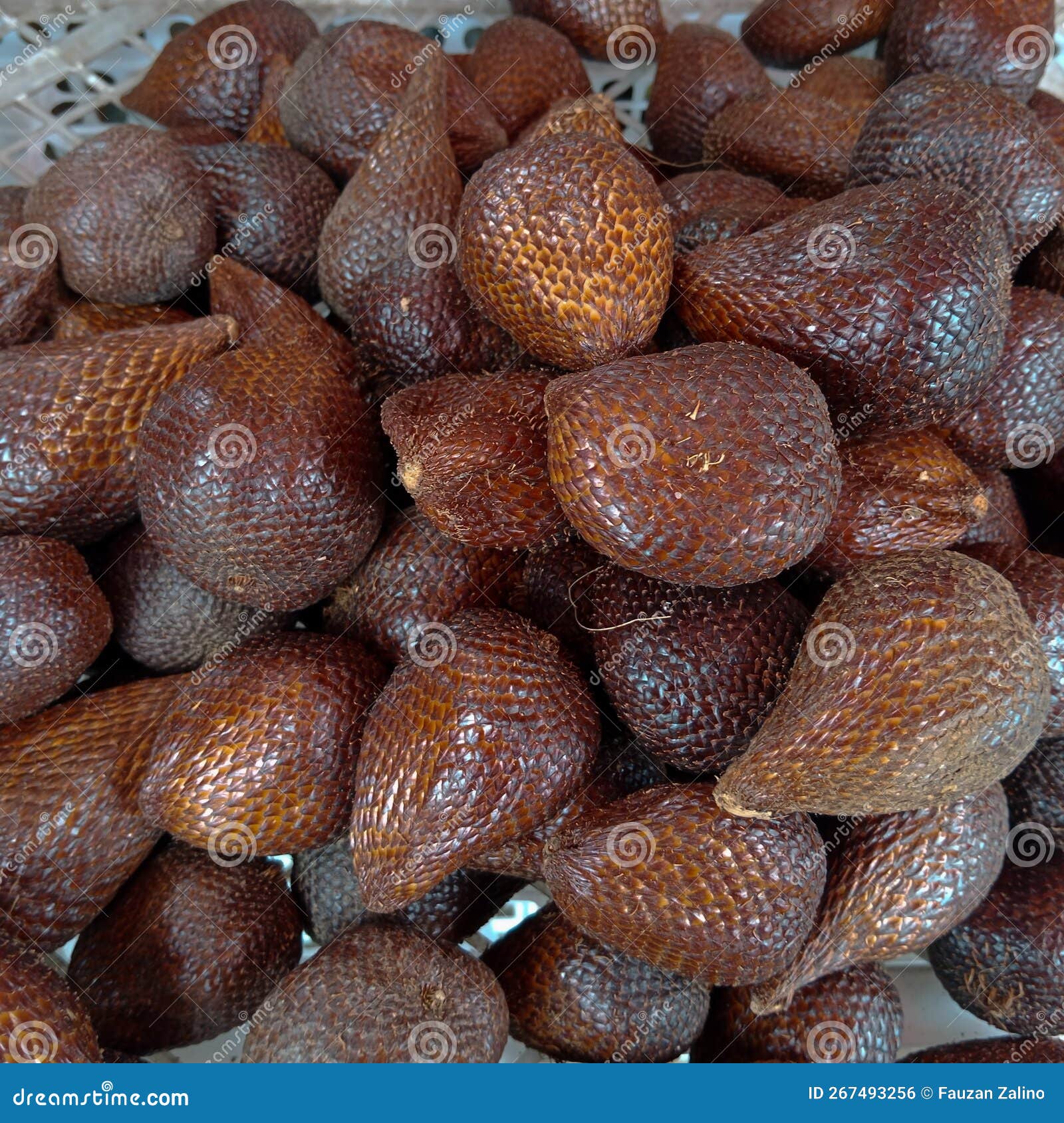 Pasar Raya Padang, 25 January 2023, Pile of Pondo Snake Fruit Stock ...