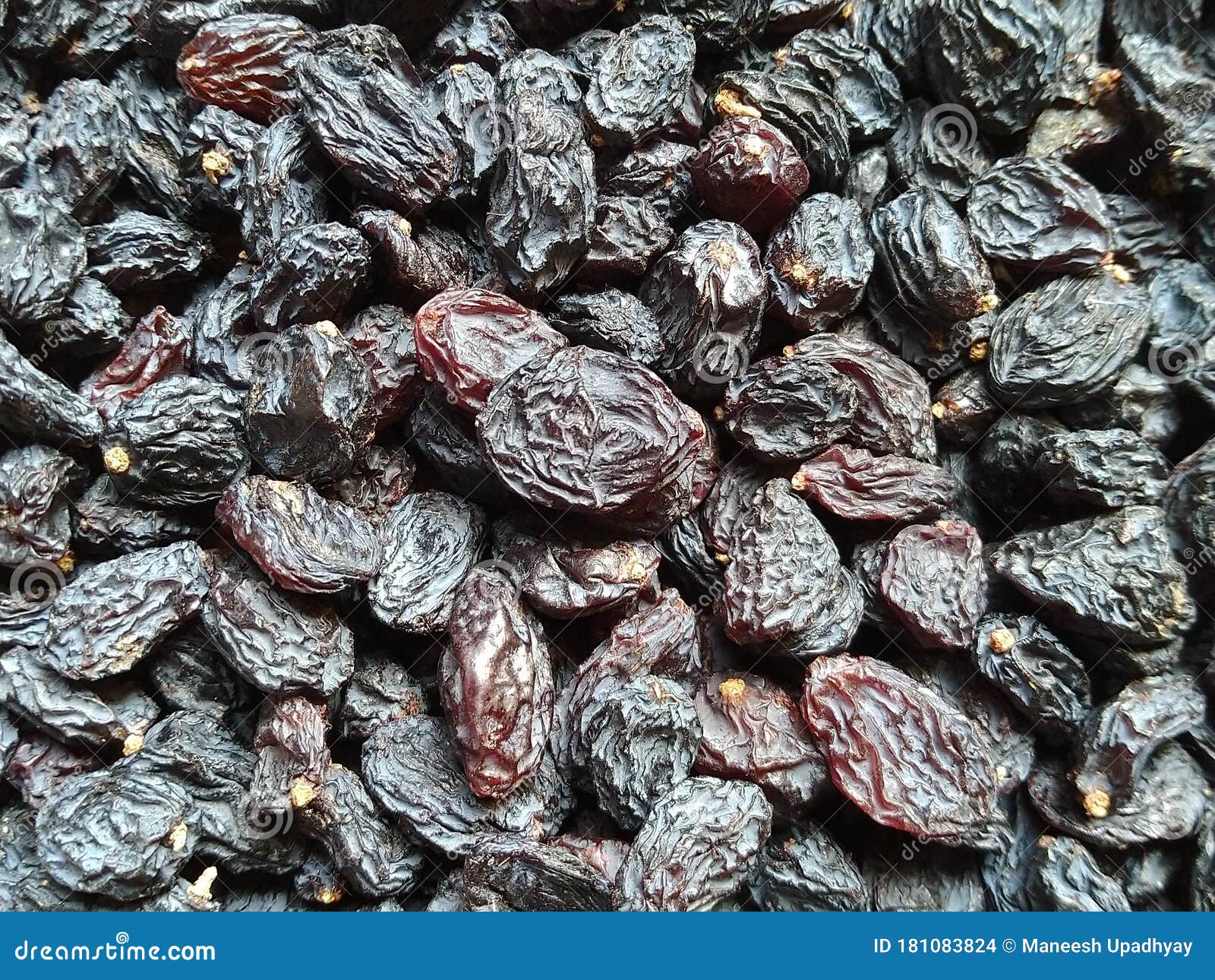 Pasas secas de color negro foto de archivo. Imagen de color - 181083824