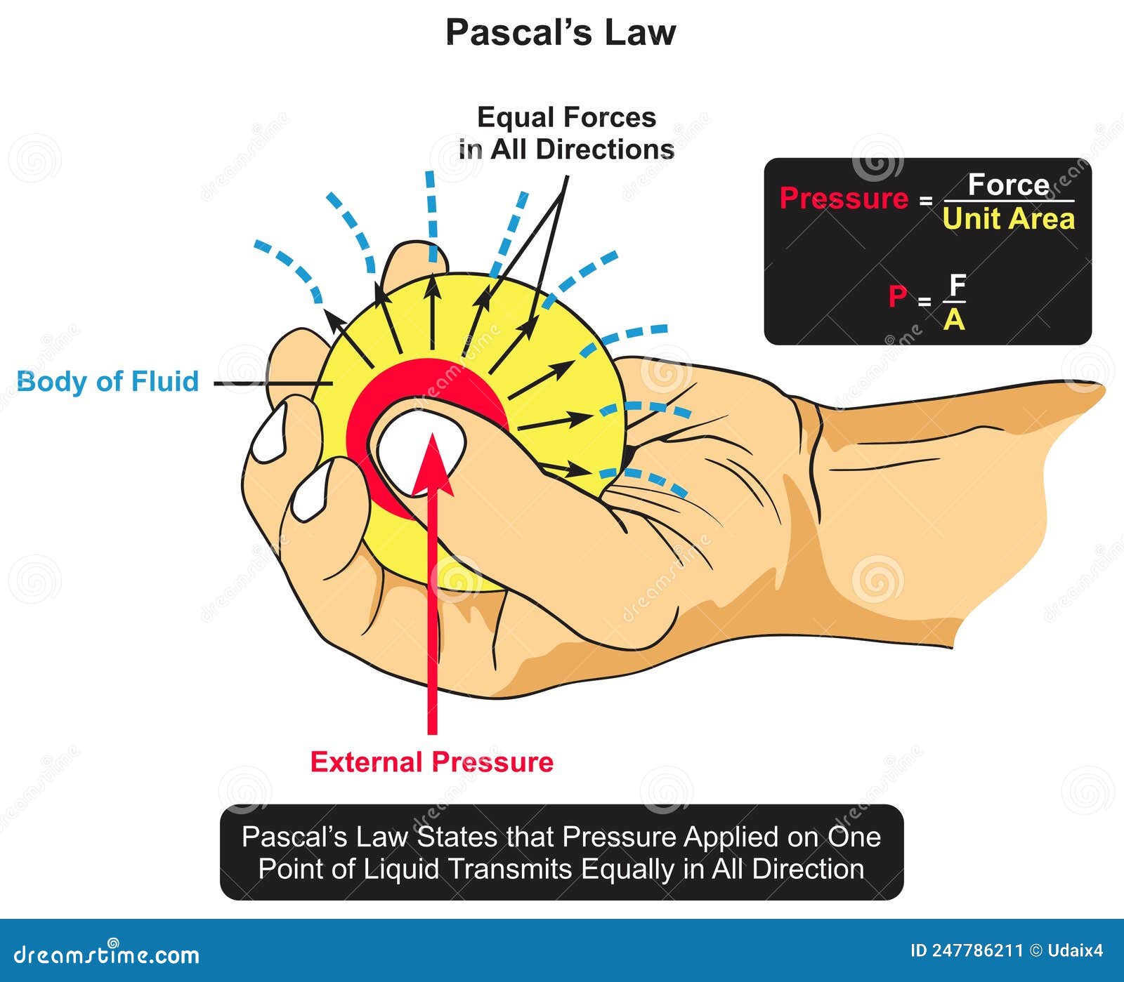 Pascal Law Infographic Diagram Example Pressure Applied on One Point of ...