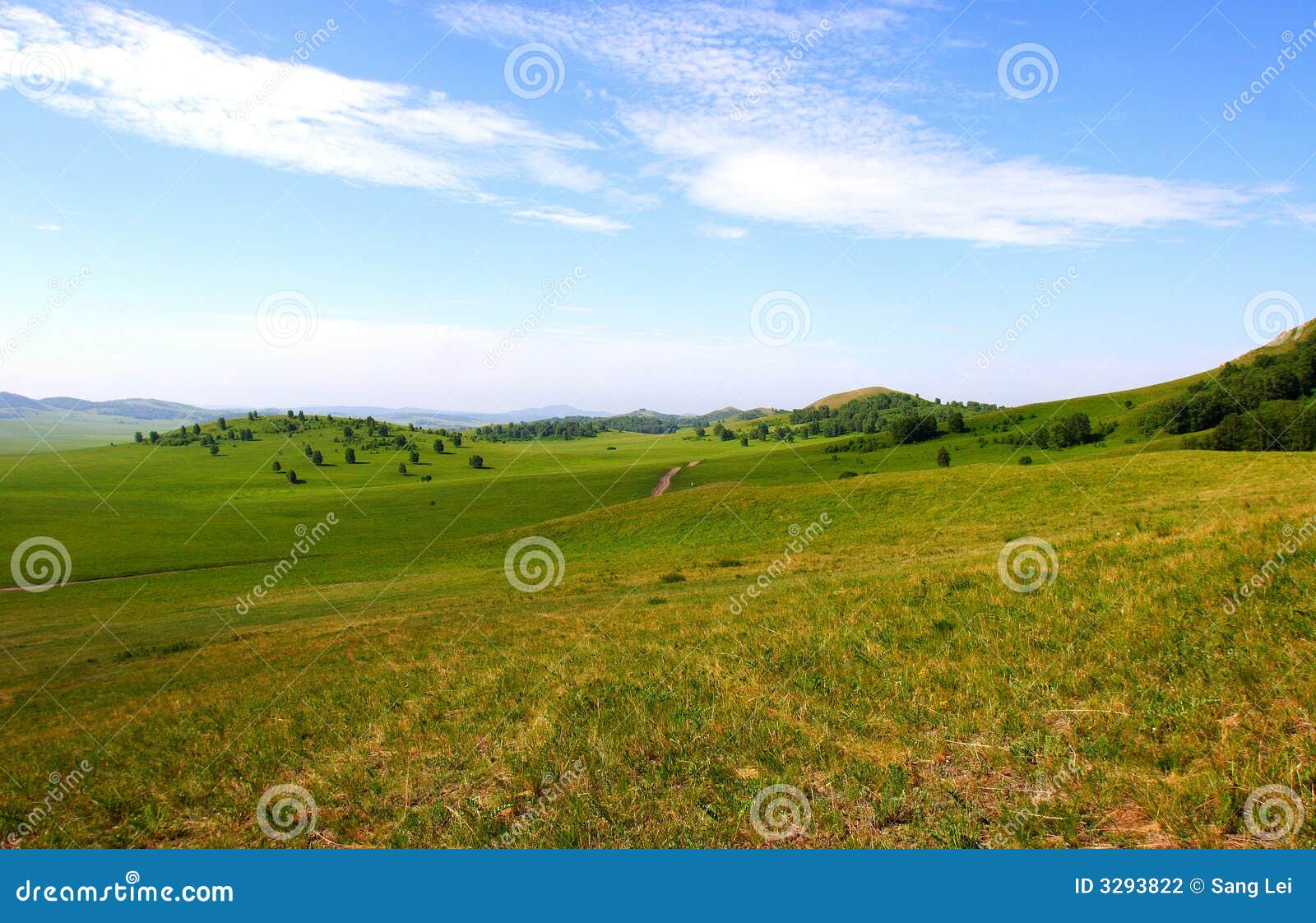 Pascolo fotografia stock. Immagine di cielo, corsa, sfondo - 3293822
