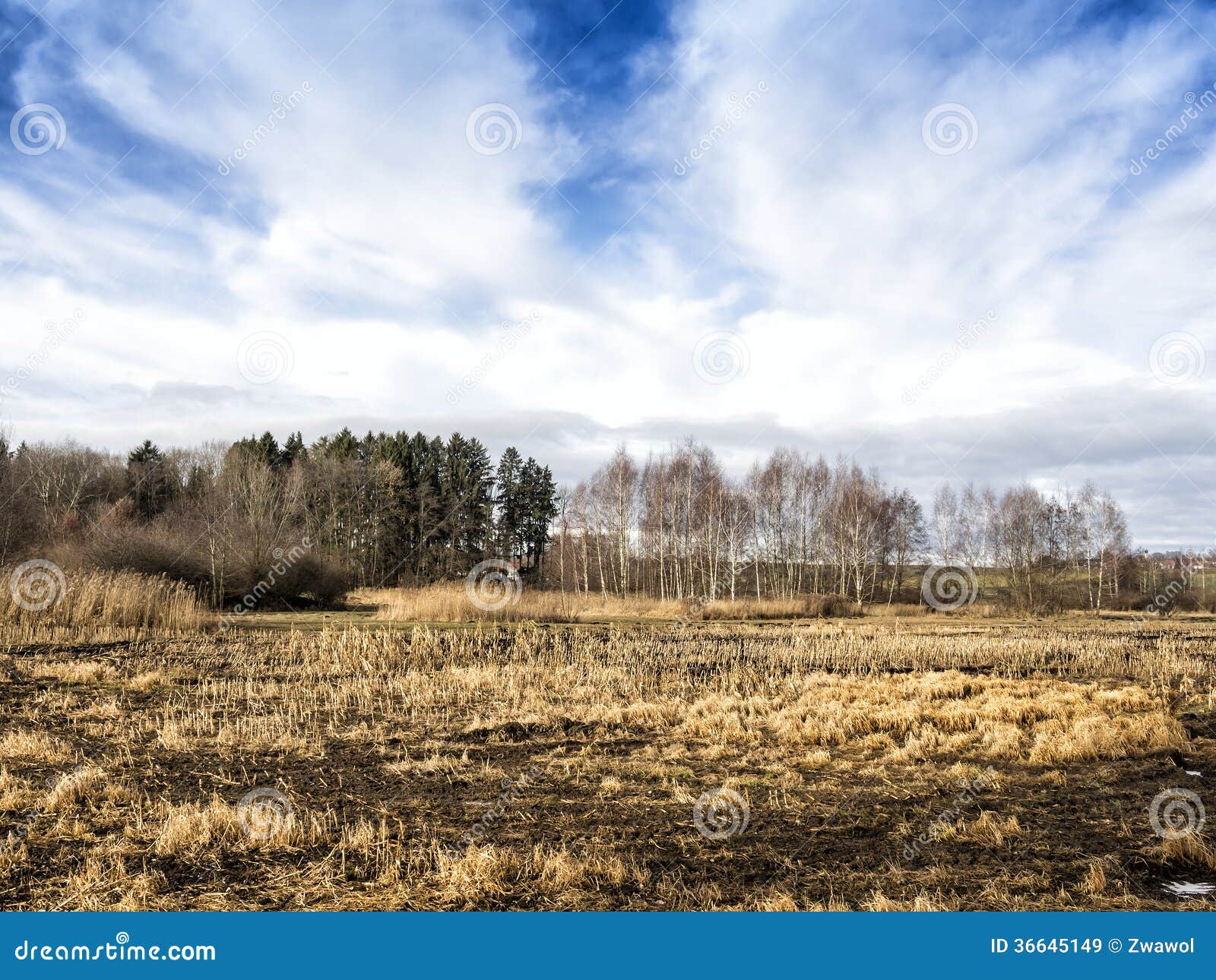 Pascolo immagine stock. Immagine di nave, pascoli, bellezza - 36645149