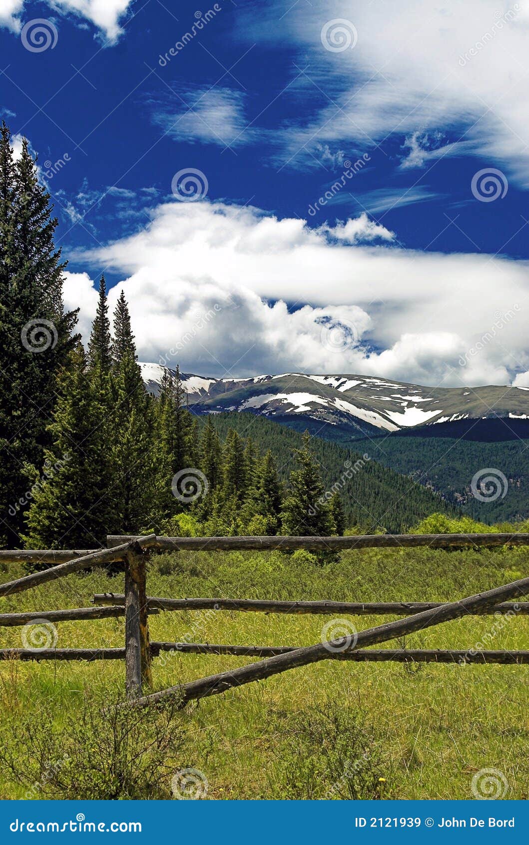 Pascolo Della Montagna Del Colorado Immagine Stock - Immagine di molla ...