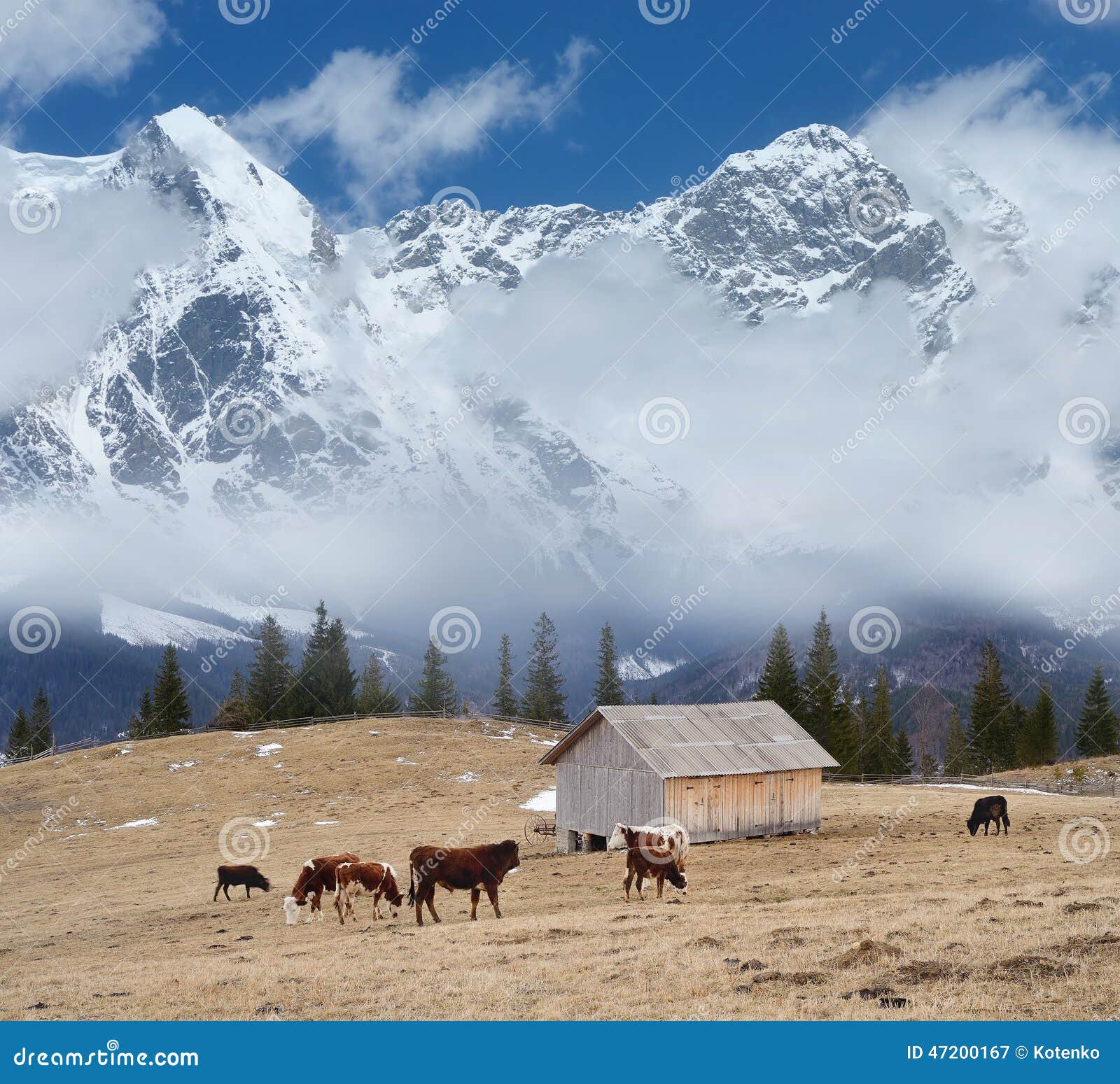 Pascolo Nel Paesino Di Montagna Immagine Stock - Immagine di capanna ...