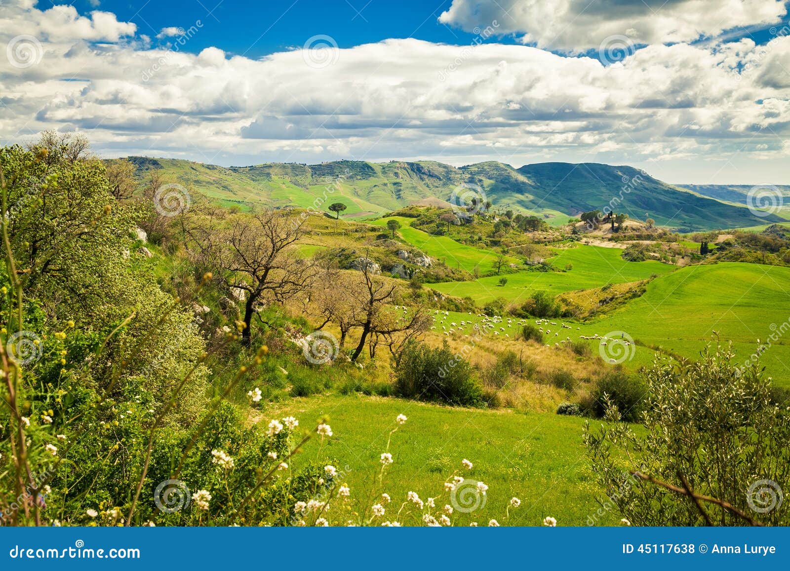 Pascolo in Sicilia Centrale, Italia Fotografia Stock - Immagine di ...