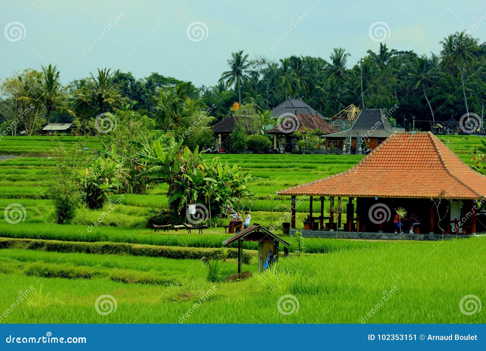 Paseo Del Canto De Campuhan En El Ubud Imagen de archivo - Imagen de ...