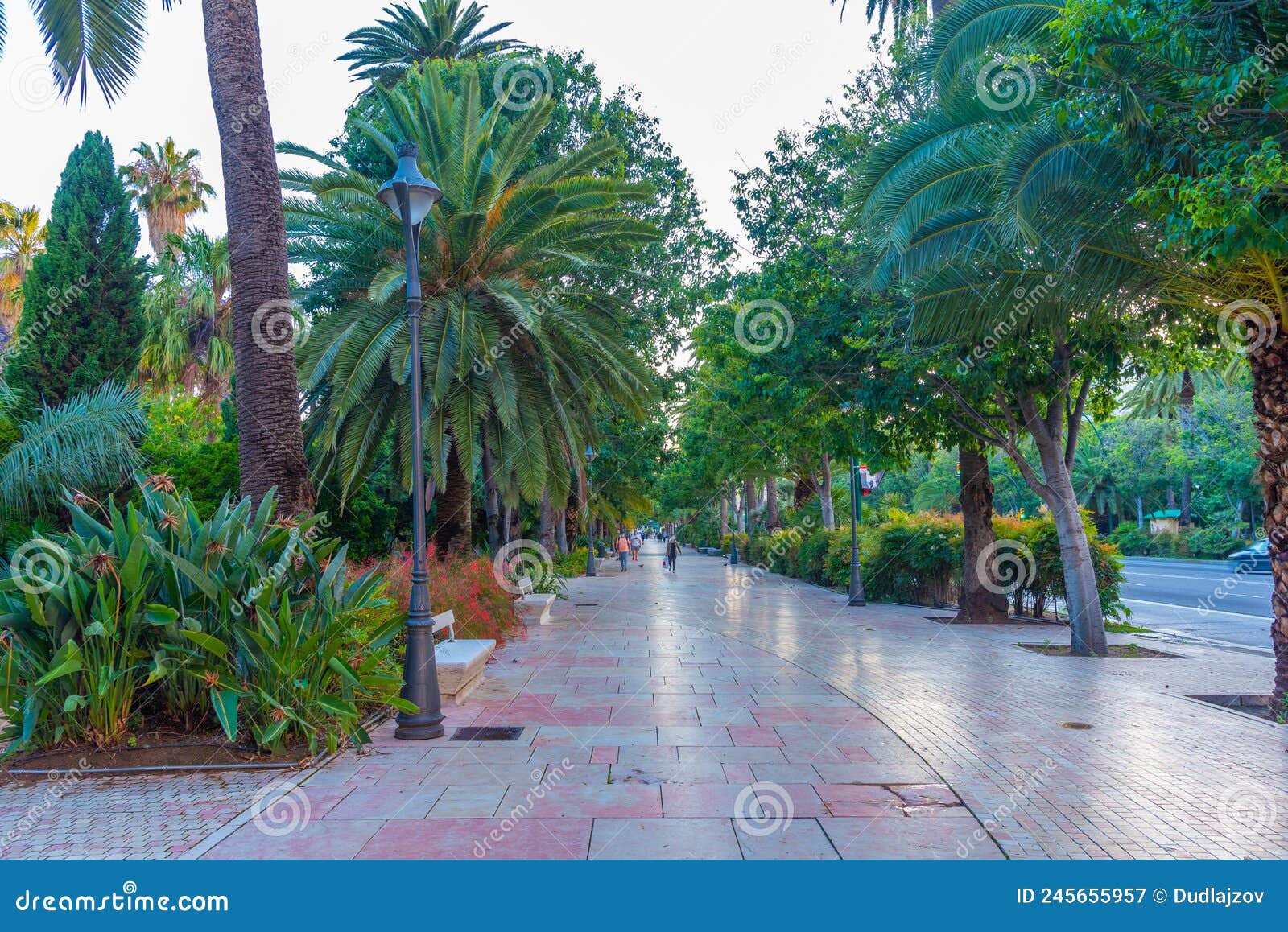 Paseo Del Parque in Malaga, Spain. Stock Image - Image of europe ... Paseo Del Parque in Malaga, Spain. Stock Image - Image of europe ...