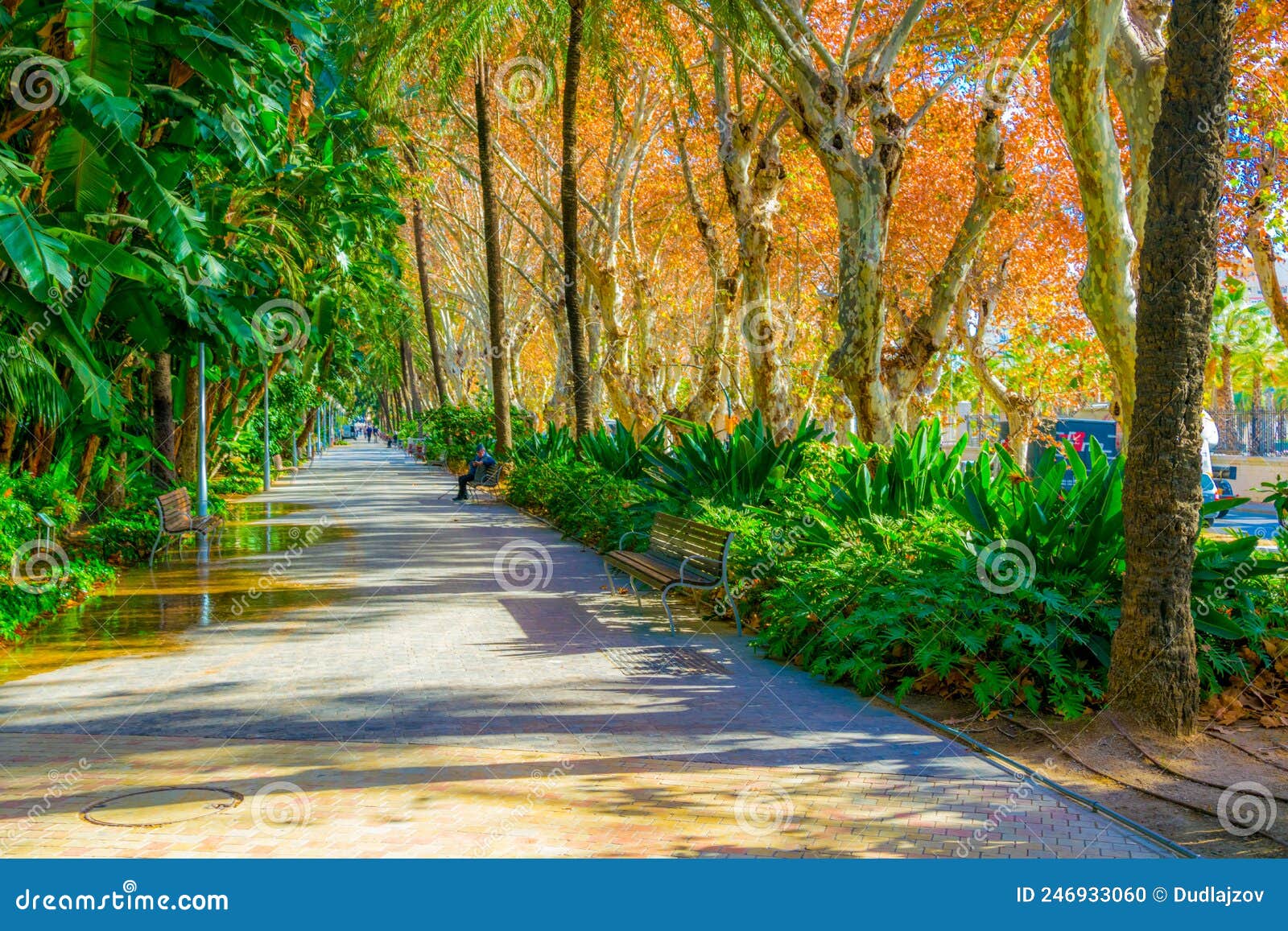 Paseo Del Parque in Malaga, Spain....IMAGE Stock Photo - Image of ... Paseo Del Parque in Malaga, Spain....IMAGE Stock Photo - Image of ...