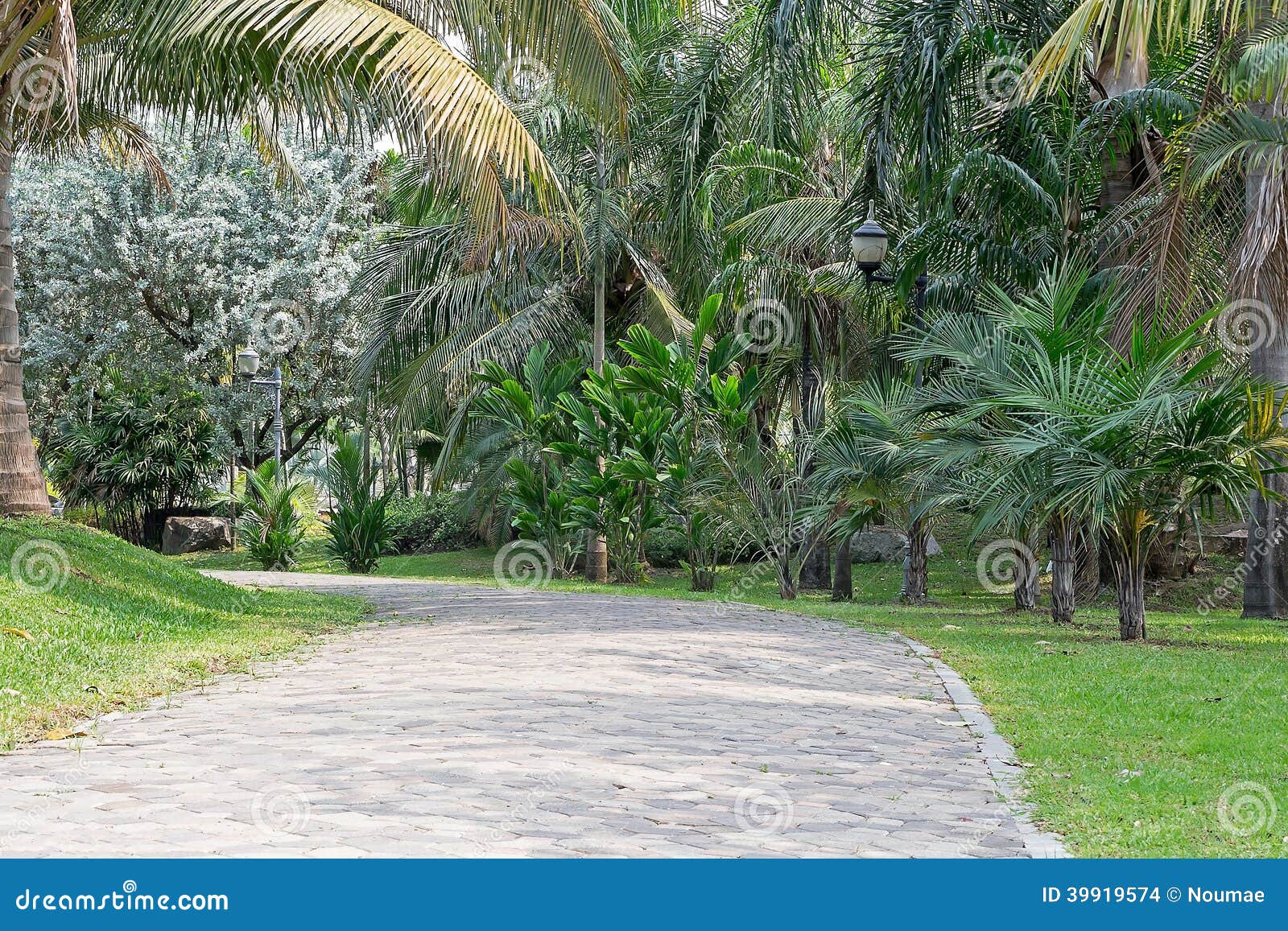Paseo en el parque foto de archivo. Imagen de ciudad - 39919574