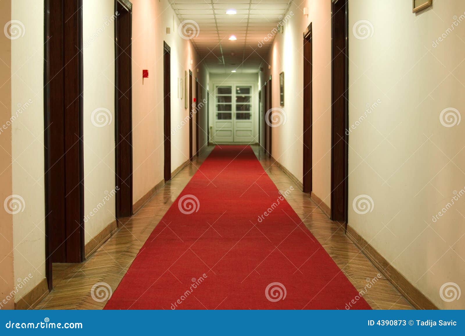 Pasillo imagen de archivo. Imagen de puertas, butaca, arco - 4390873