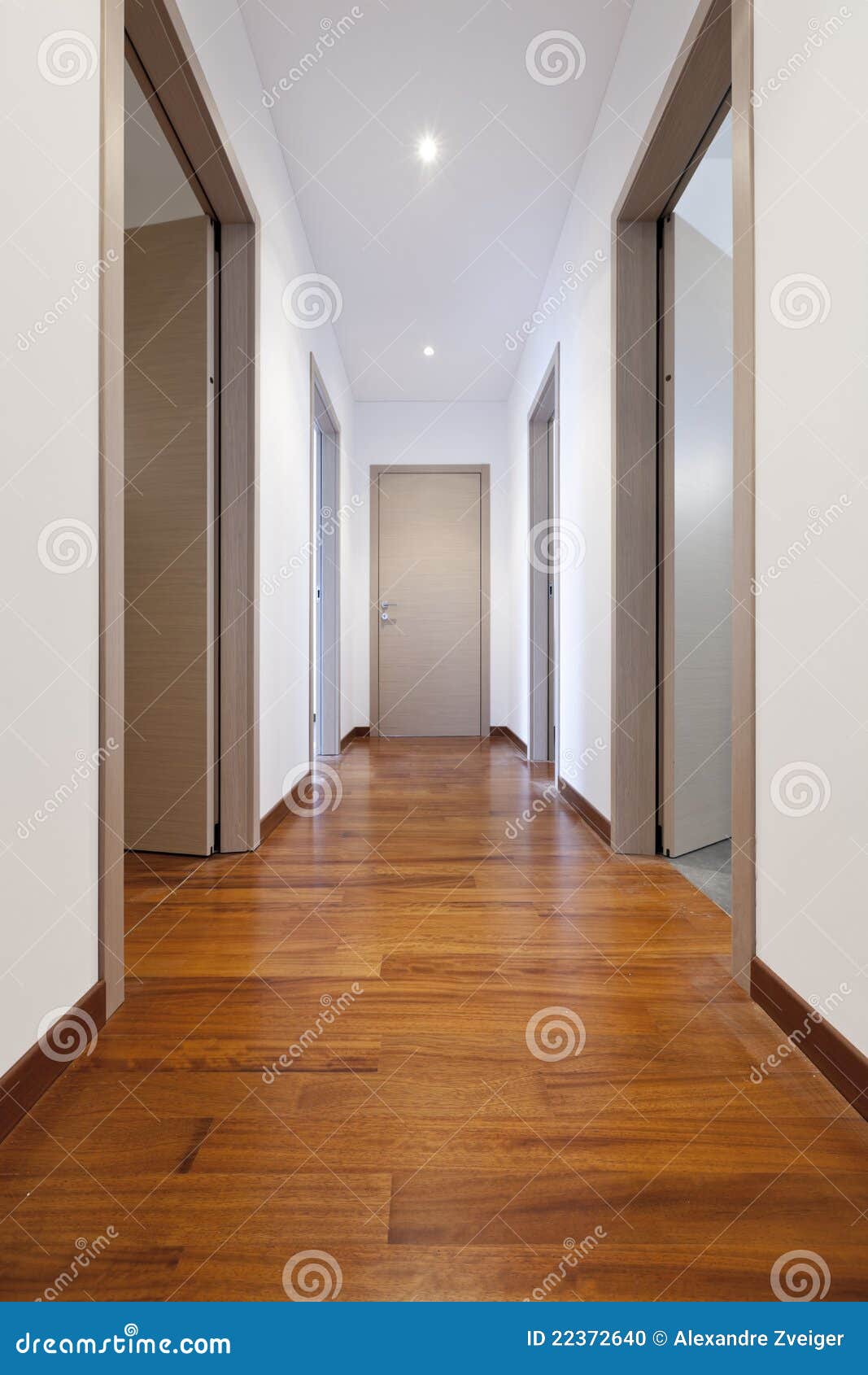 Pasillo, muchas puertas foto de archivo. Imagen de amplio - 22372640