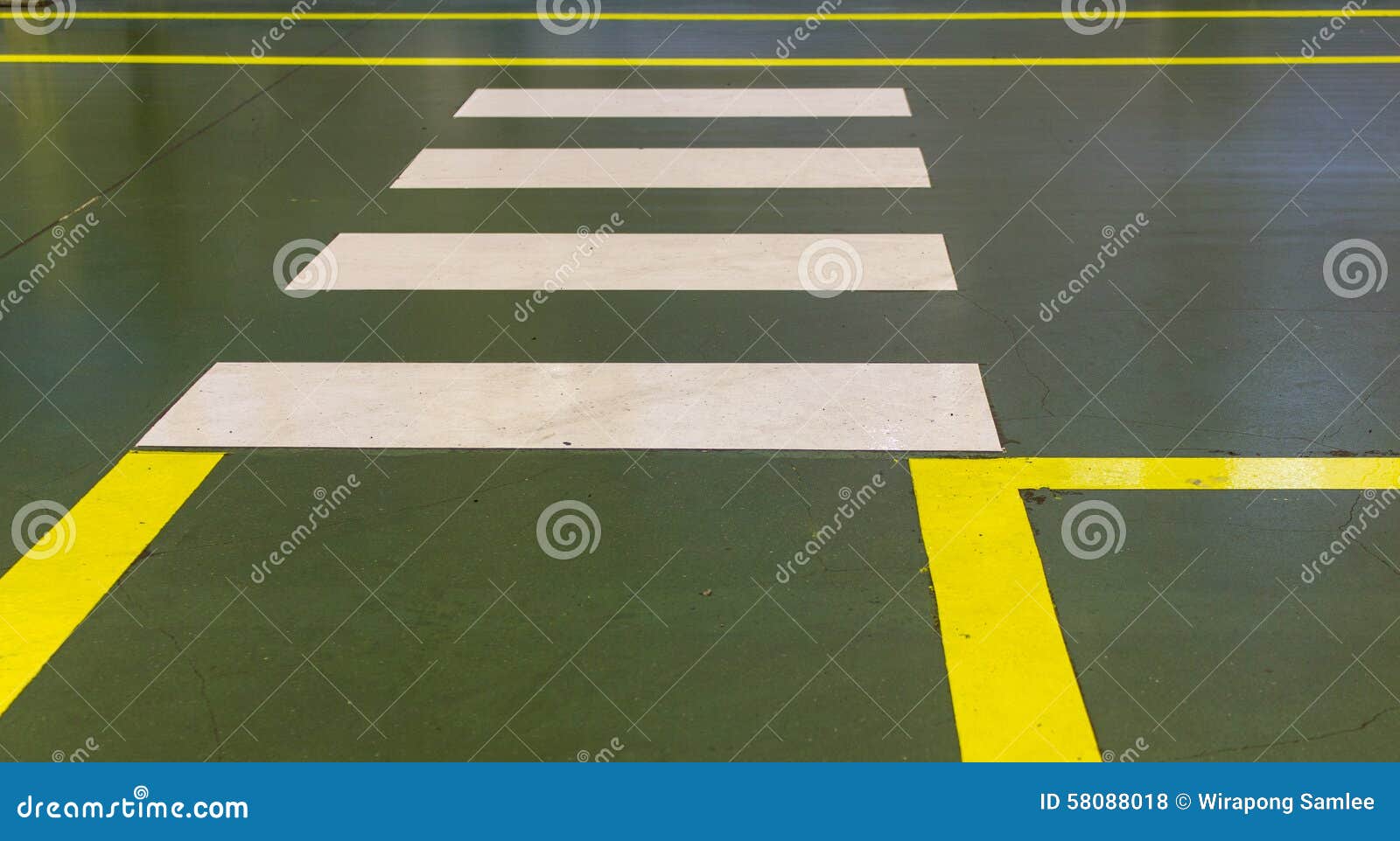 Paso De Peatones De La Cebra Foto de archivo - Imagen de cara, muestra ...