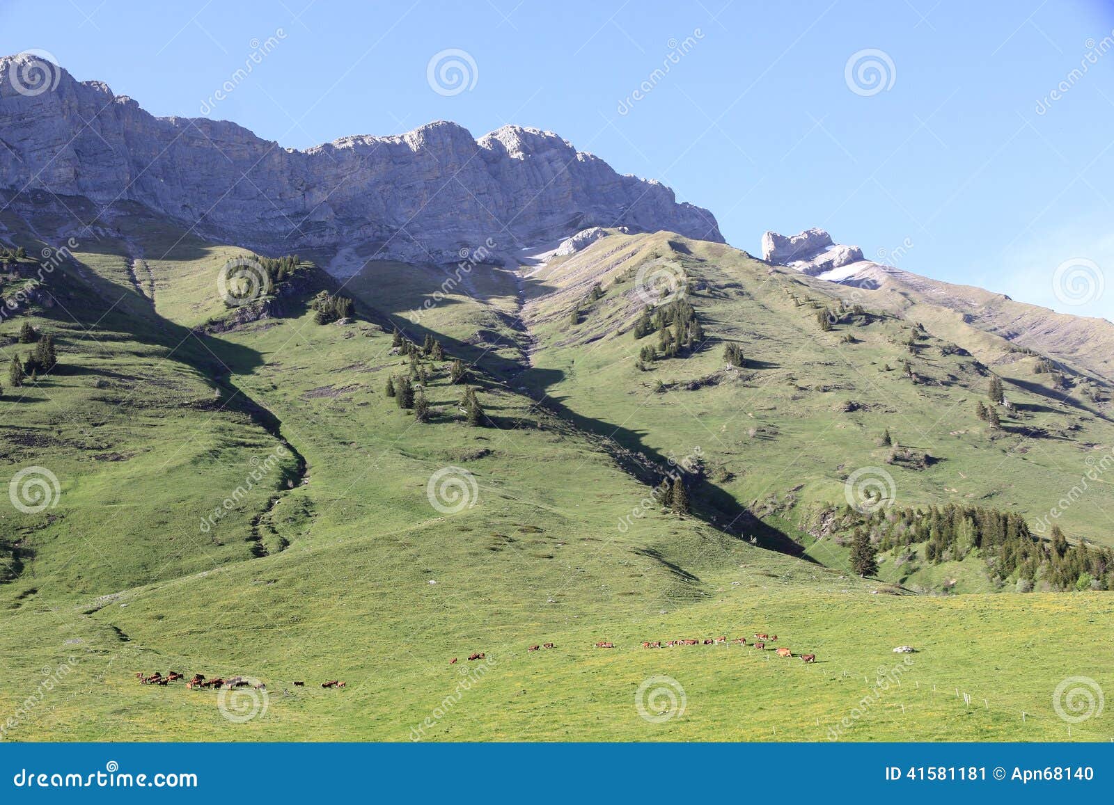 The pass of Aravis stock image. Image of clusaz, bovine - 41581181