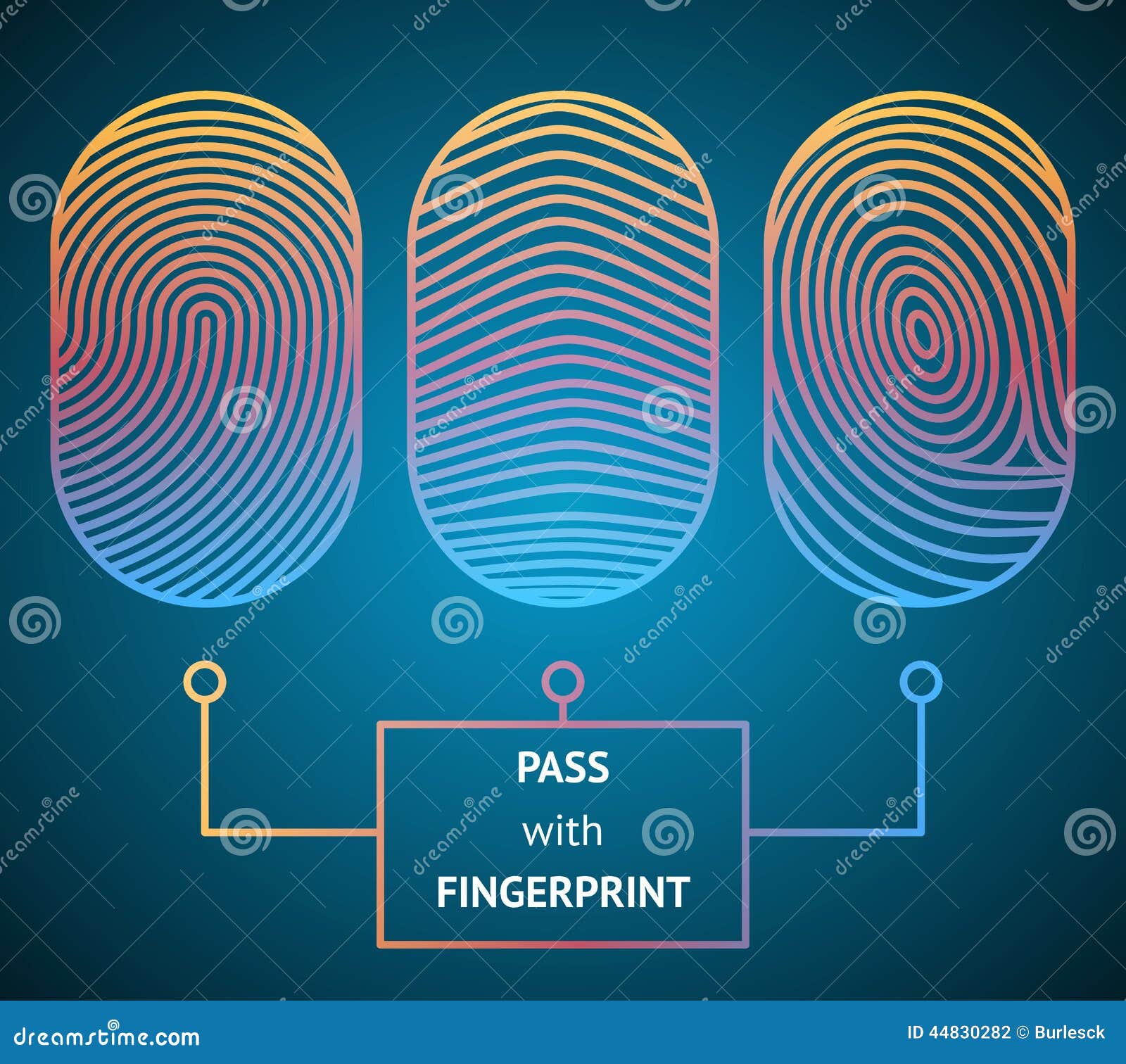 Three Fingerprint Types On White Background. Loop, Whorl, Arch Patterns ...